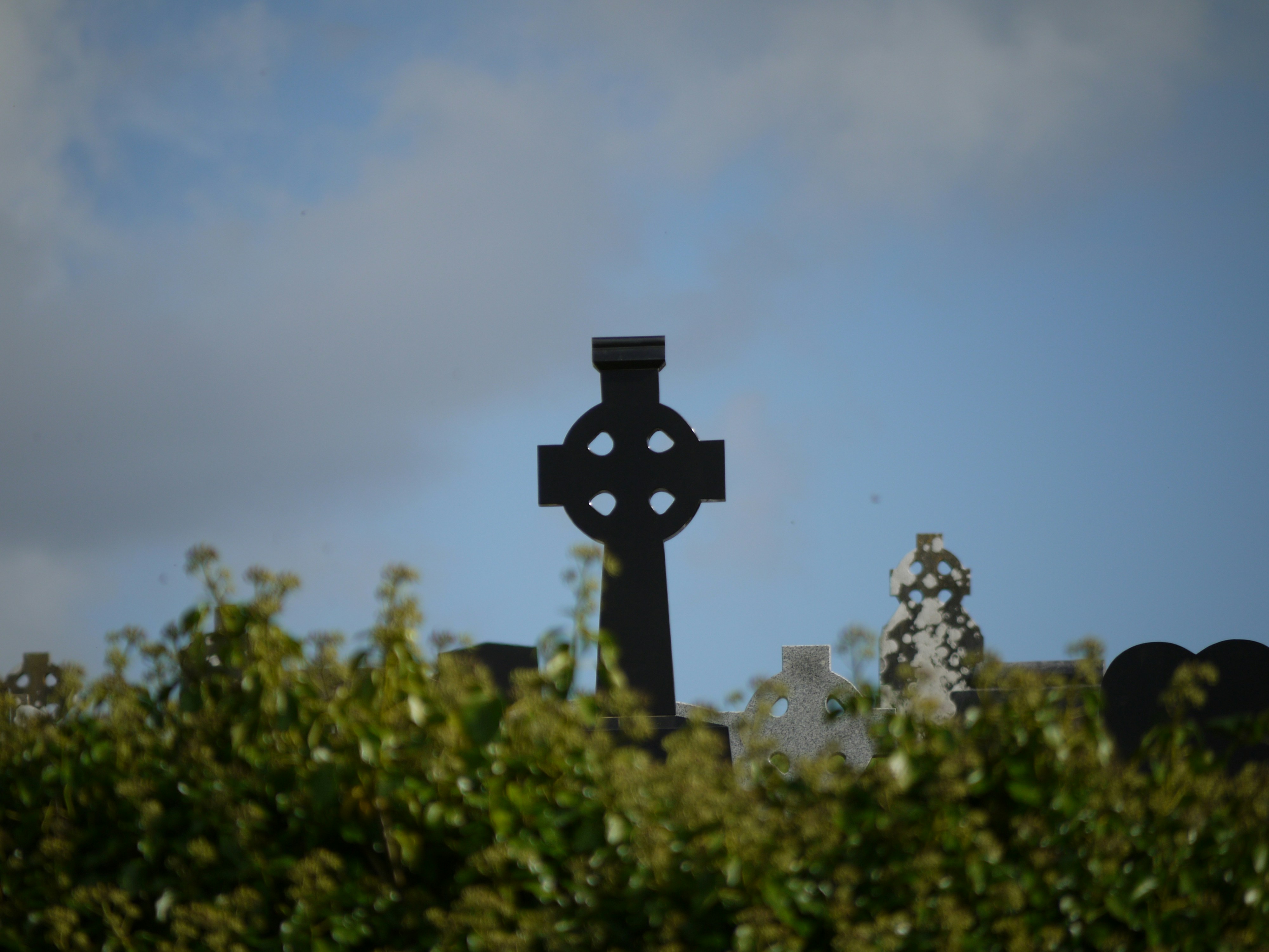 Photo by Fiona Dodd with Panasonic Lumix G10