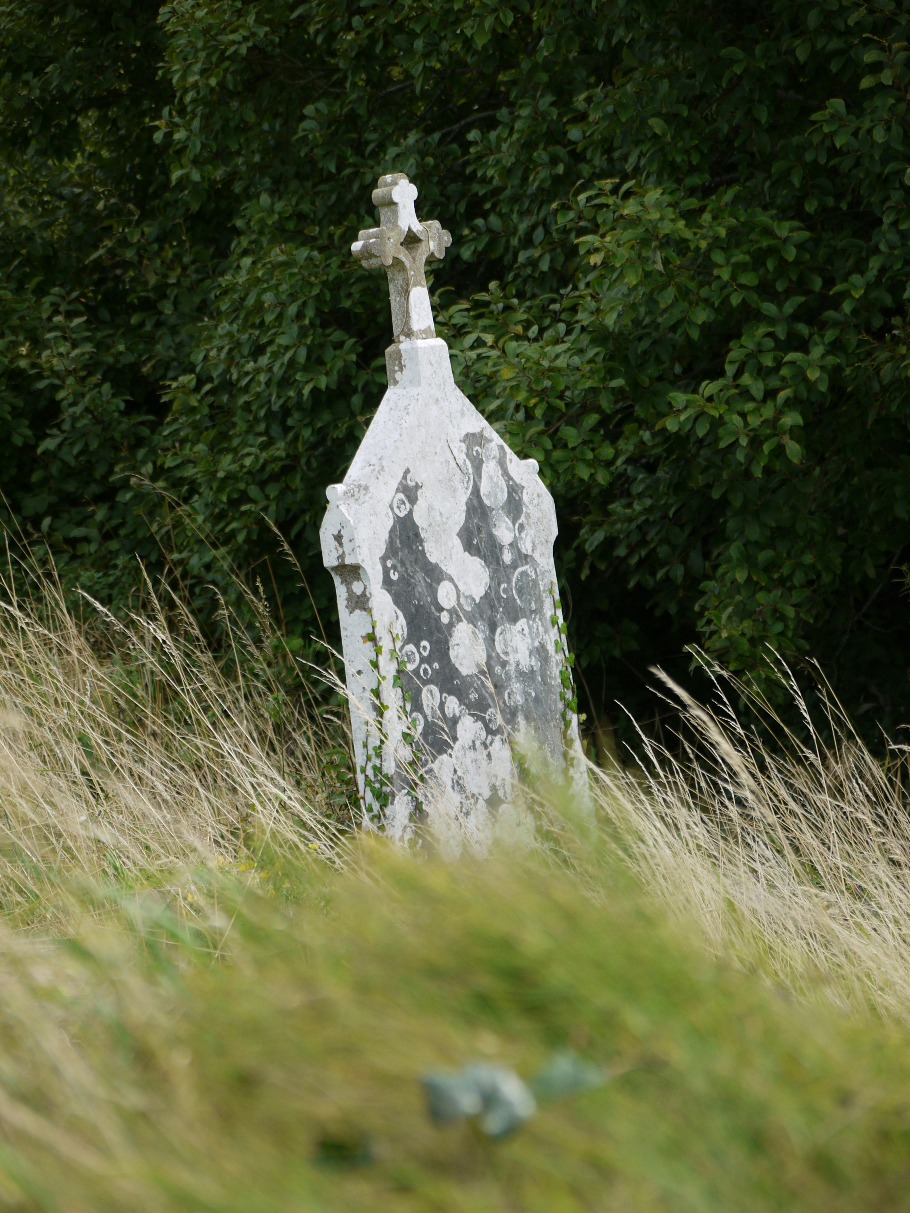 Sample photo from Panasonic Lumix G10