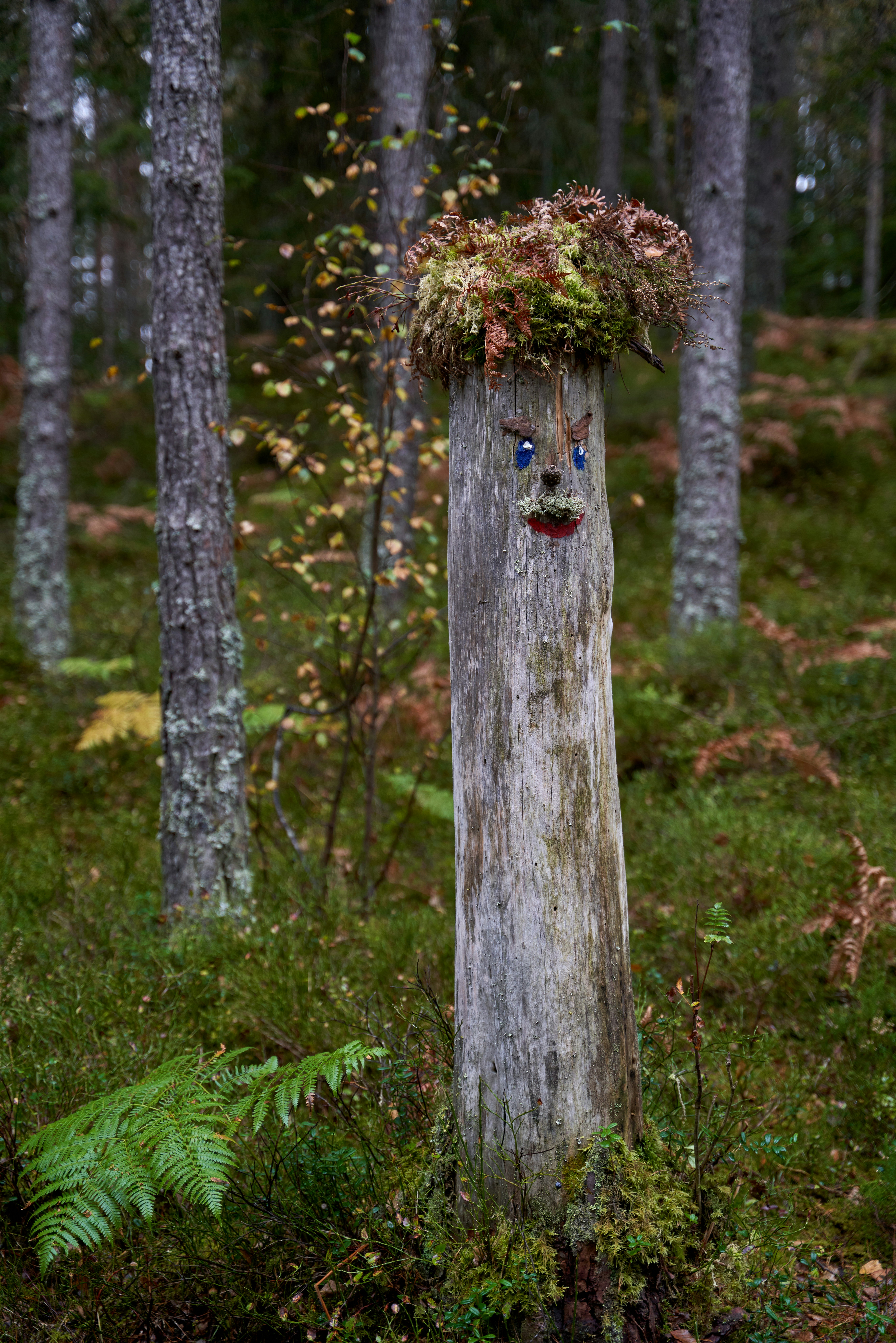 Whimsical Forest Guardian