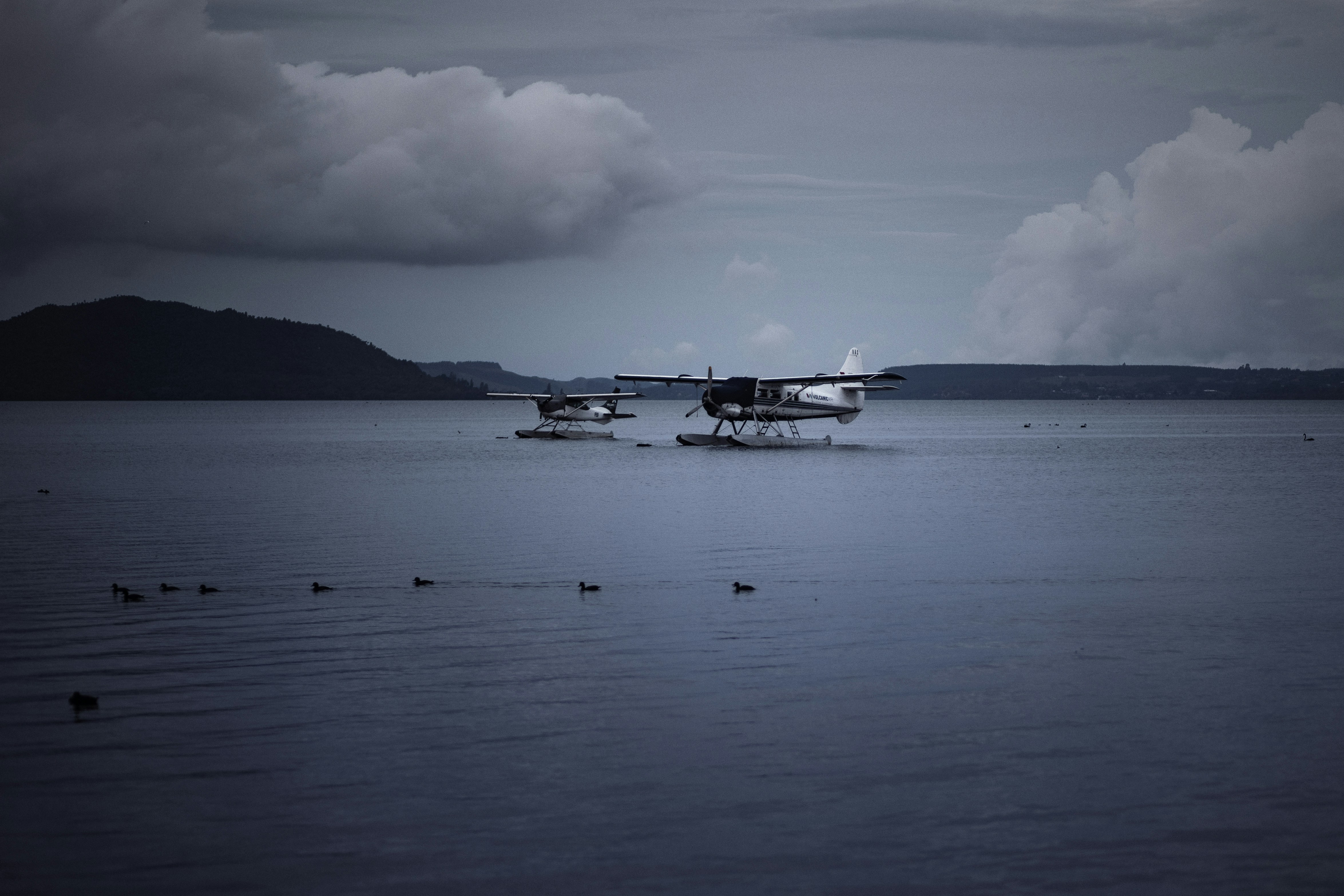 Seaplanes in Tranquil Waters