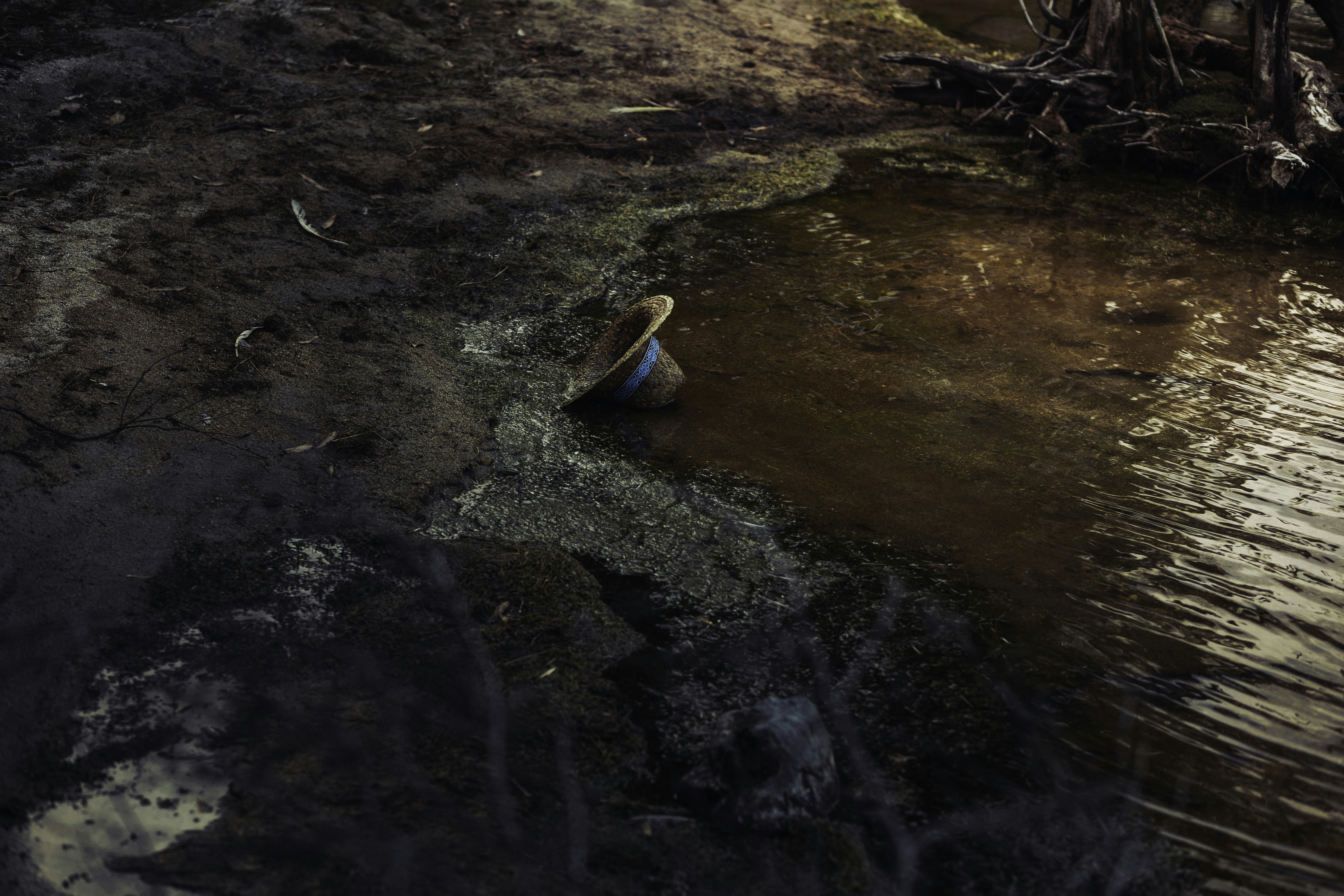 Blue-Capped Bottle at the Shadowed Riverbank