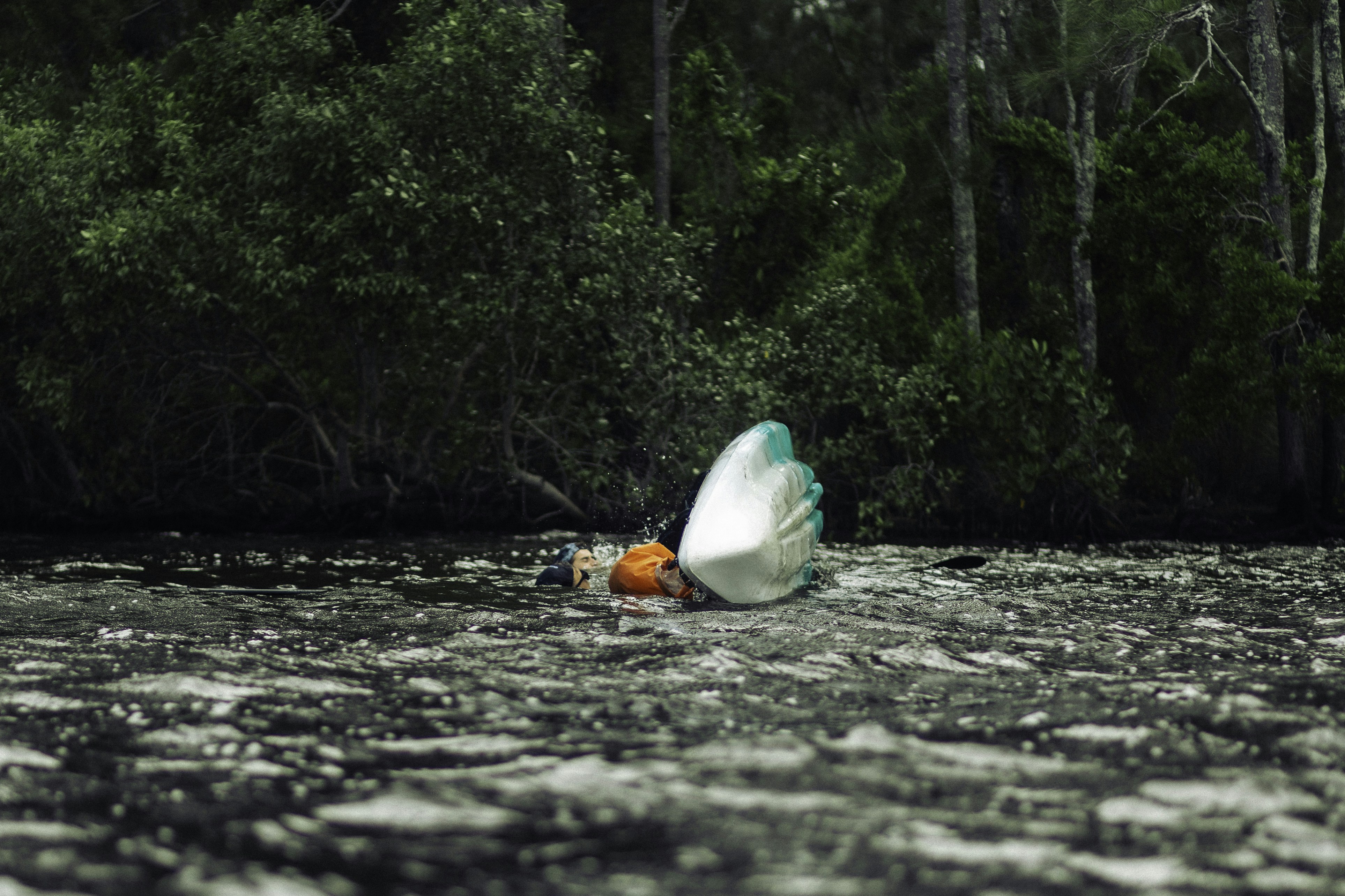 Winged Wake in Mangrove Waters: Orange Vest Against Green-White Splash