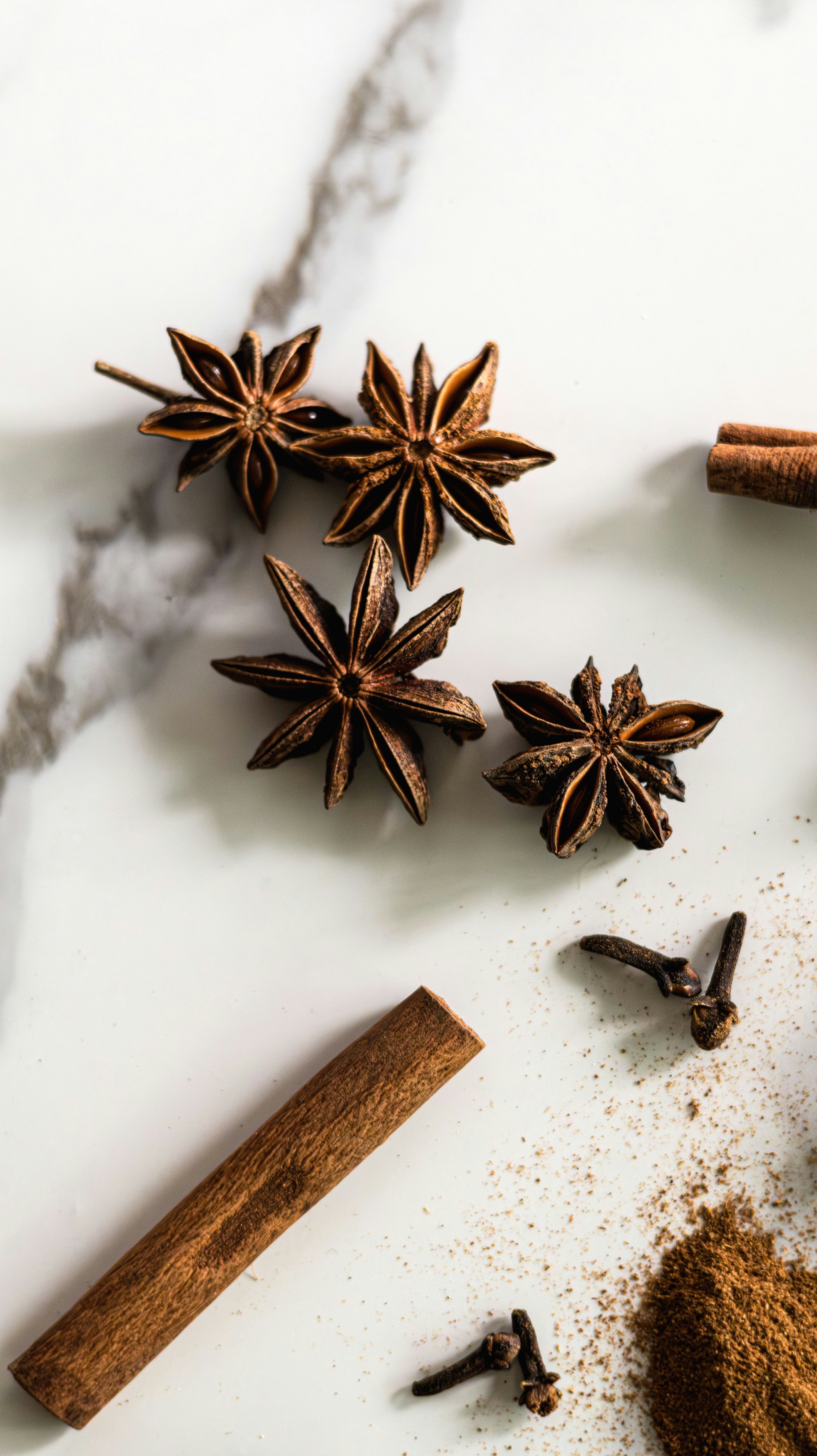 Cinnamon spice and star anise on a marble table photo – Free Star anise Image on Unsplash