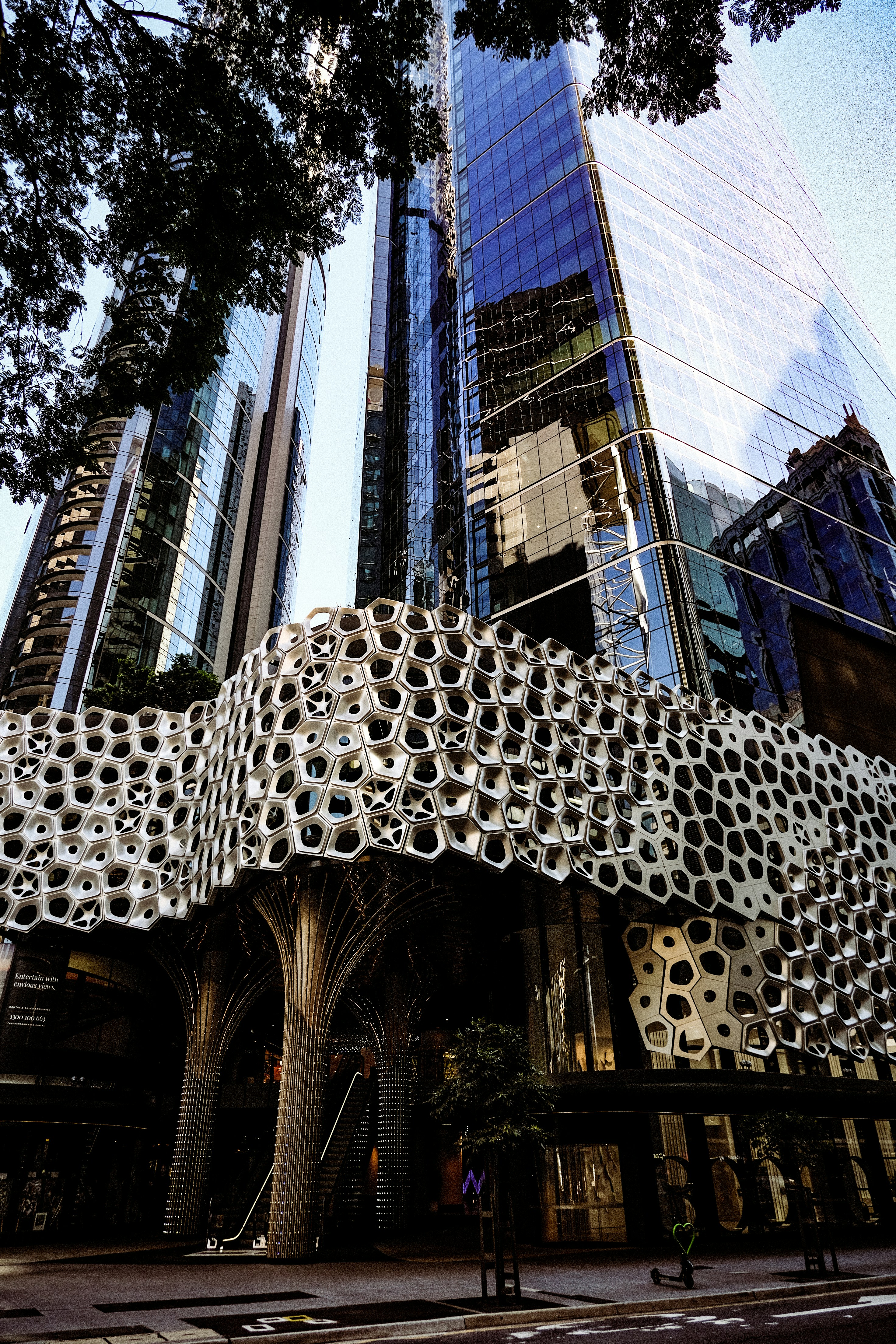 Honeycomb Canopy Weaving Through a Glass-Clad Skyline