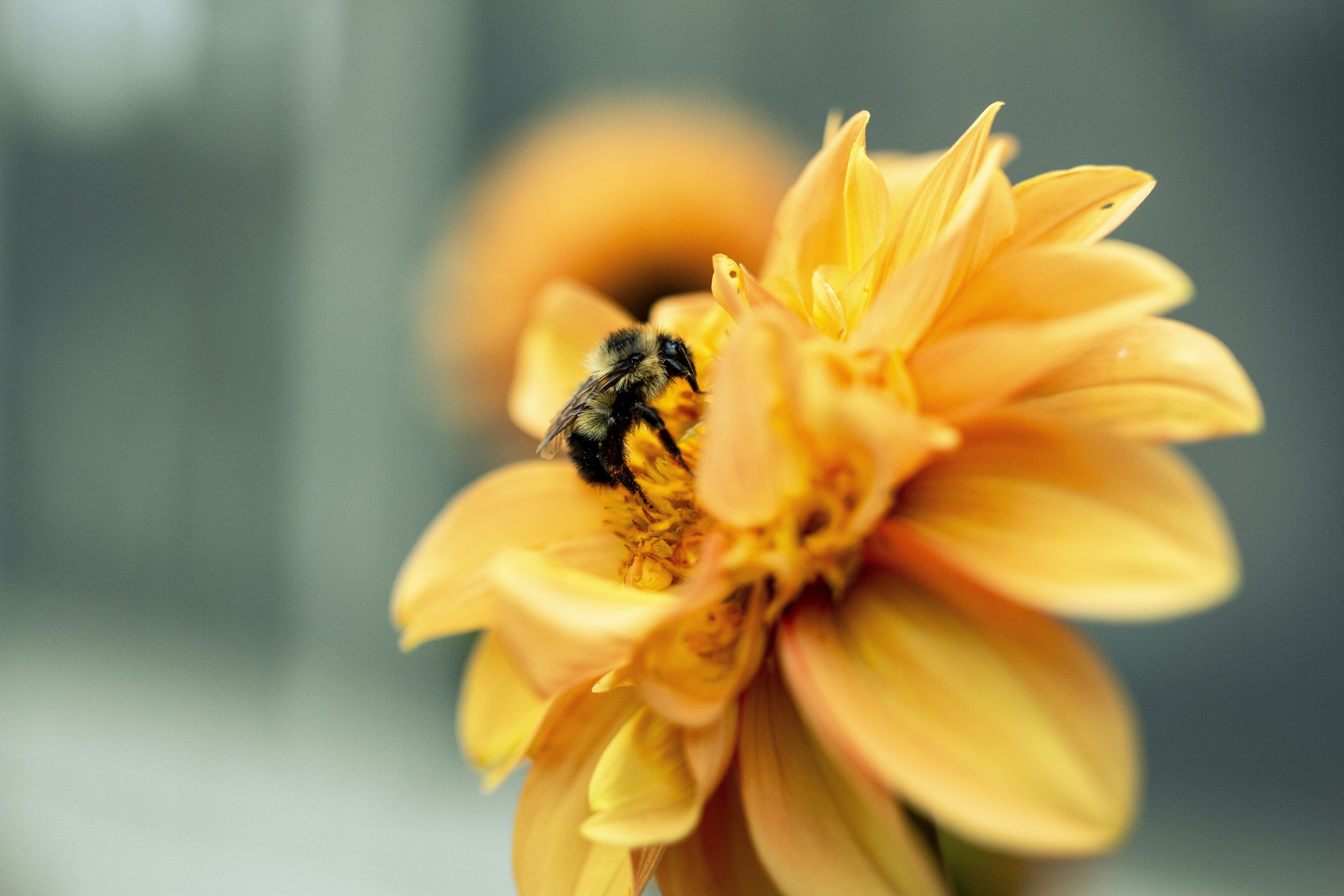 David Wilson (@captaindavida) | Komunitas Foto Unsplash