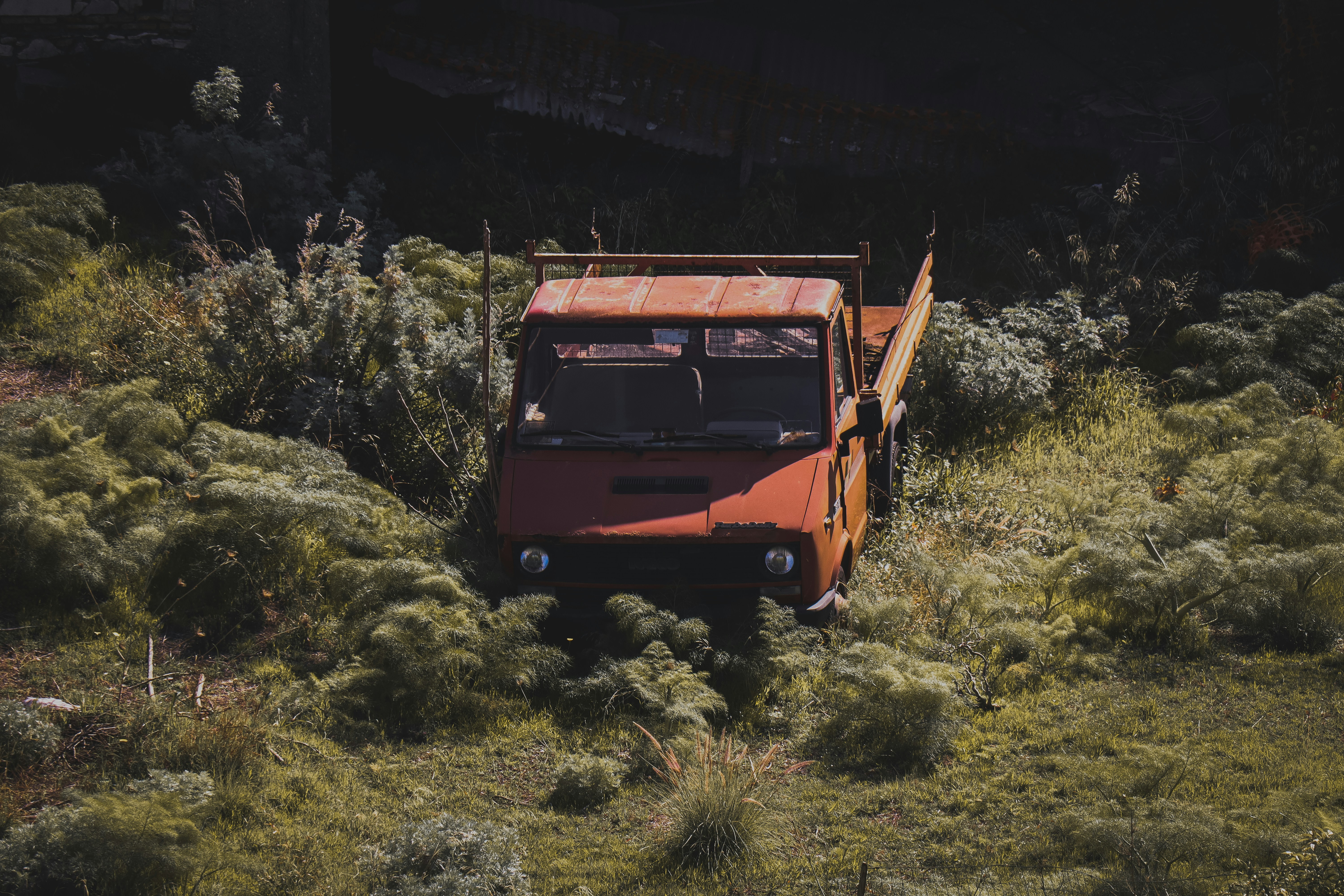 A weathered, abandoned vehicle surrounded by lush greenery in a rural setting.