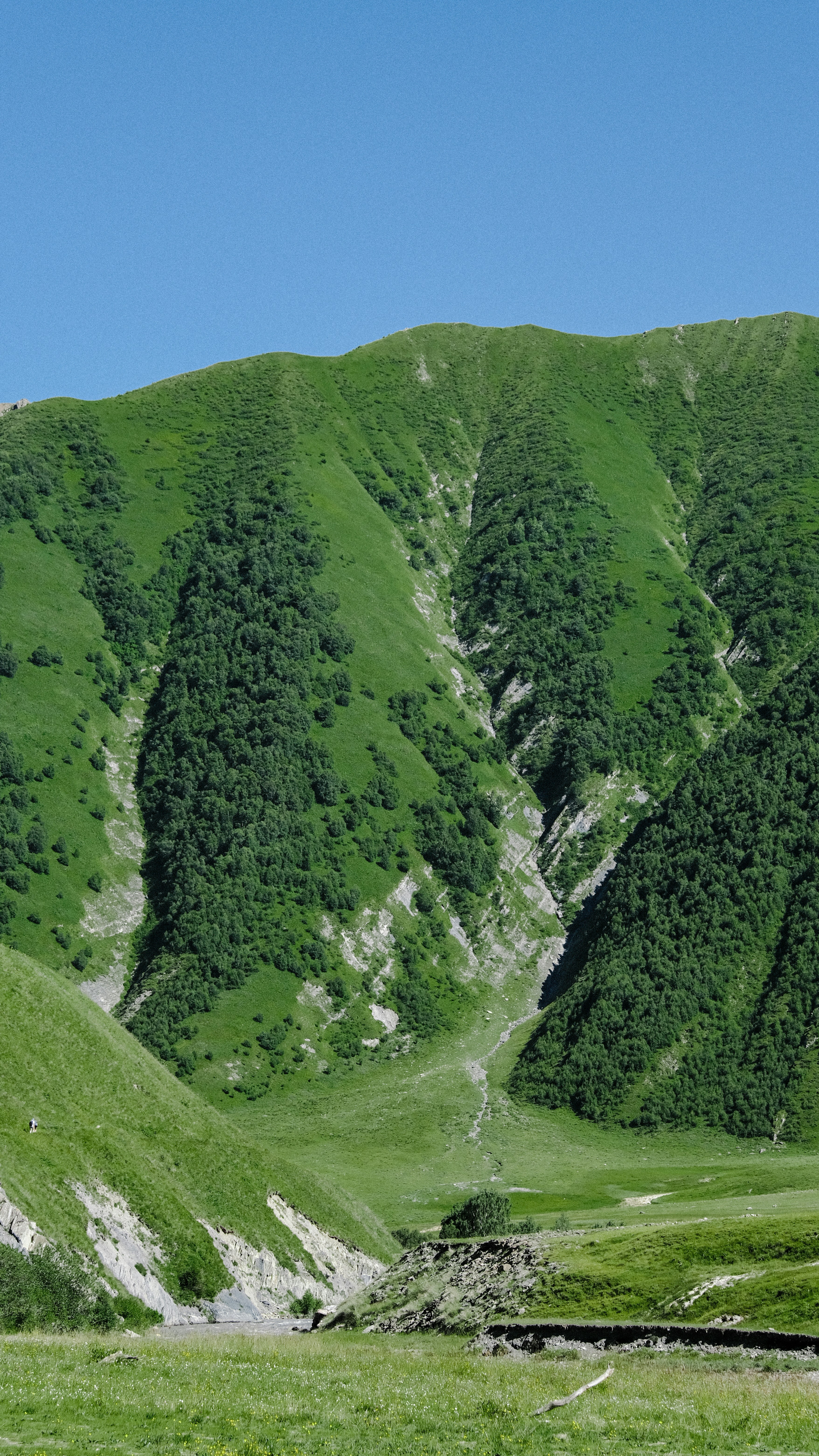 Emerald Ridge Divides a Sunlit Alpine Basin