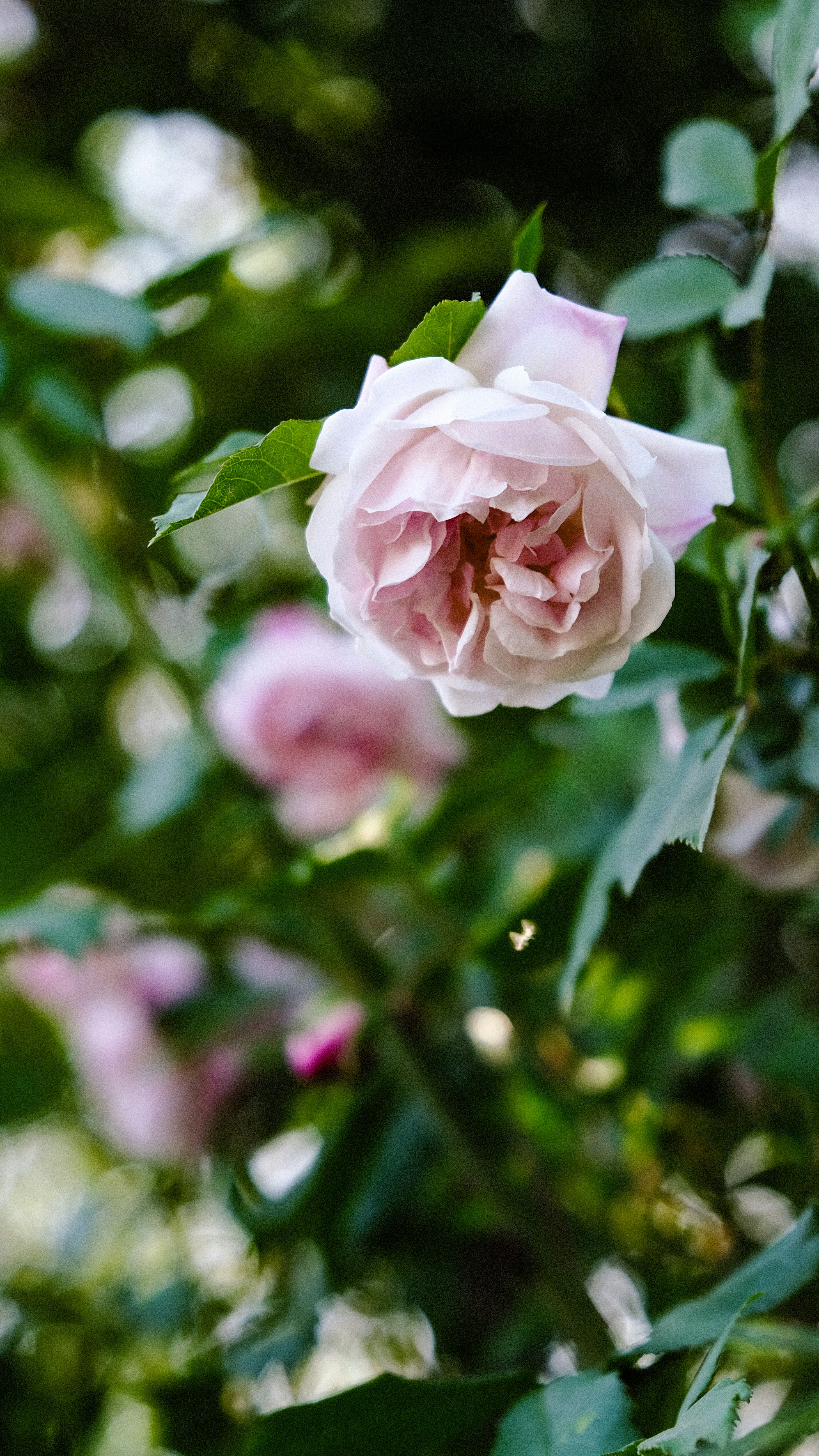 Photo by Volha Kucharenka with Fujifilm X-T30 II