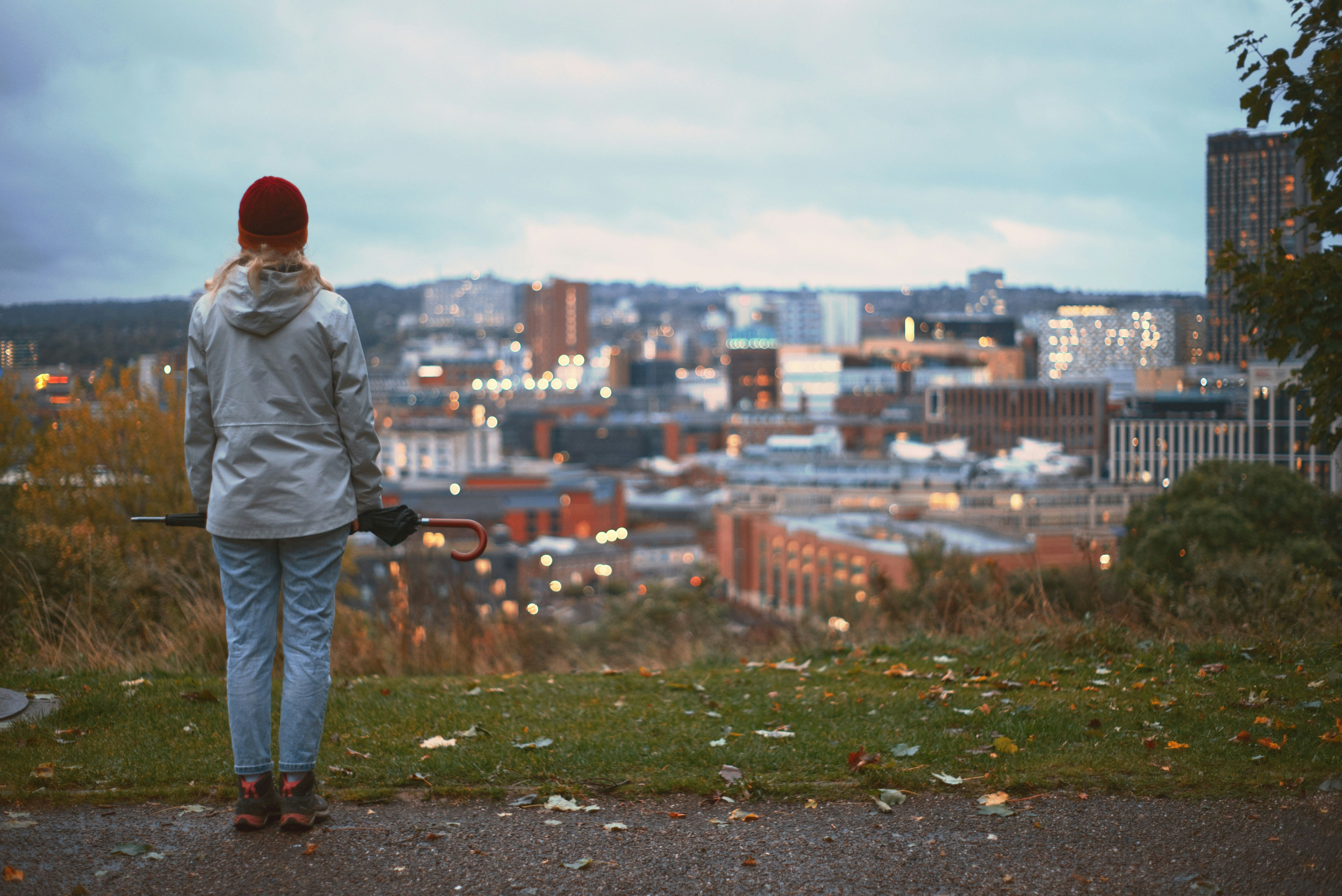 Urban Panorama from a Hilltop Vantage