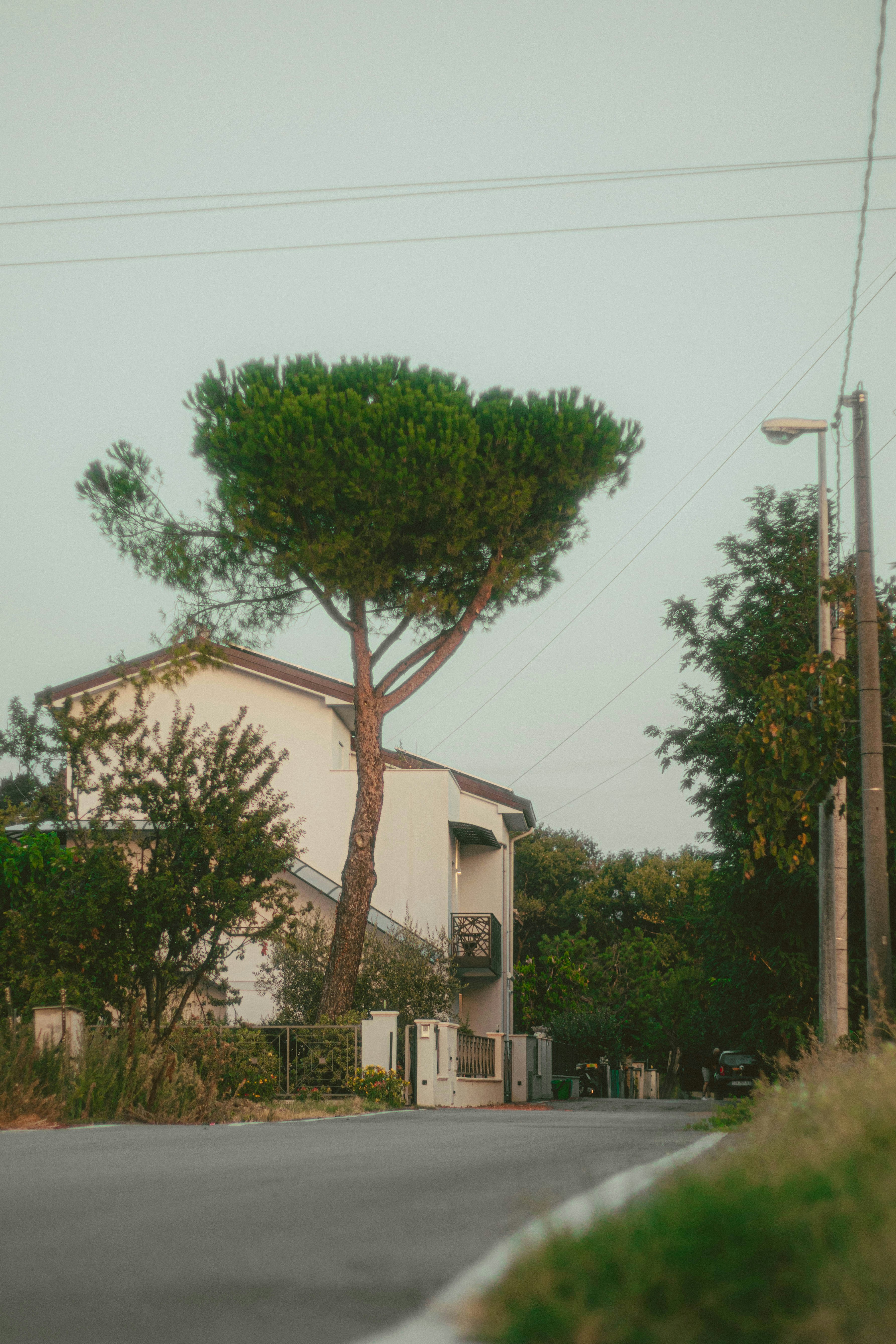 Photo by Mark Aliiev with Canon EOS 77D