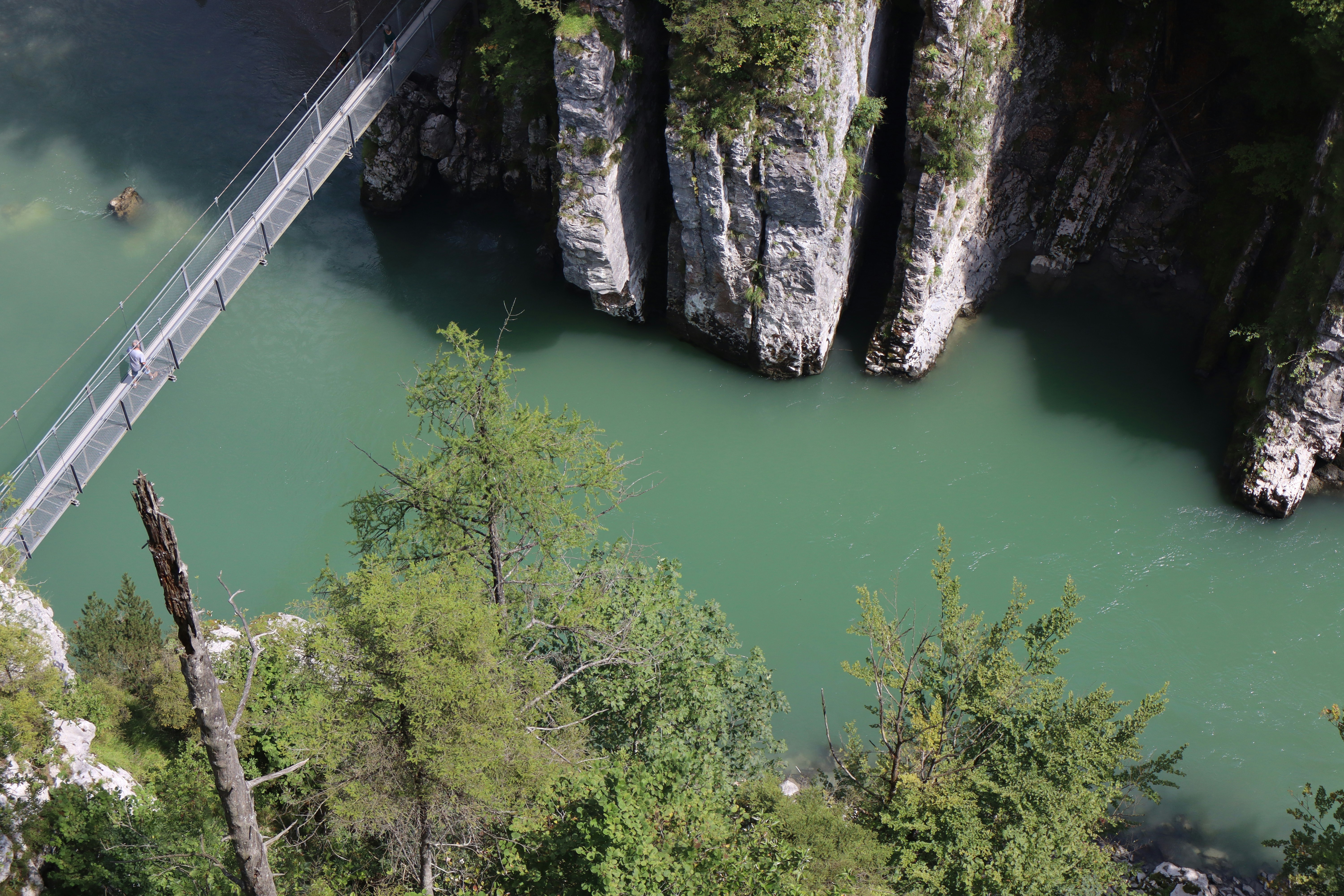 A bridge over a body of water surrounded by trees photo – Free Schlucht ...