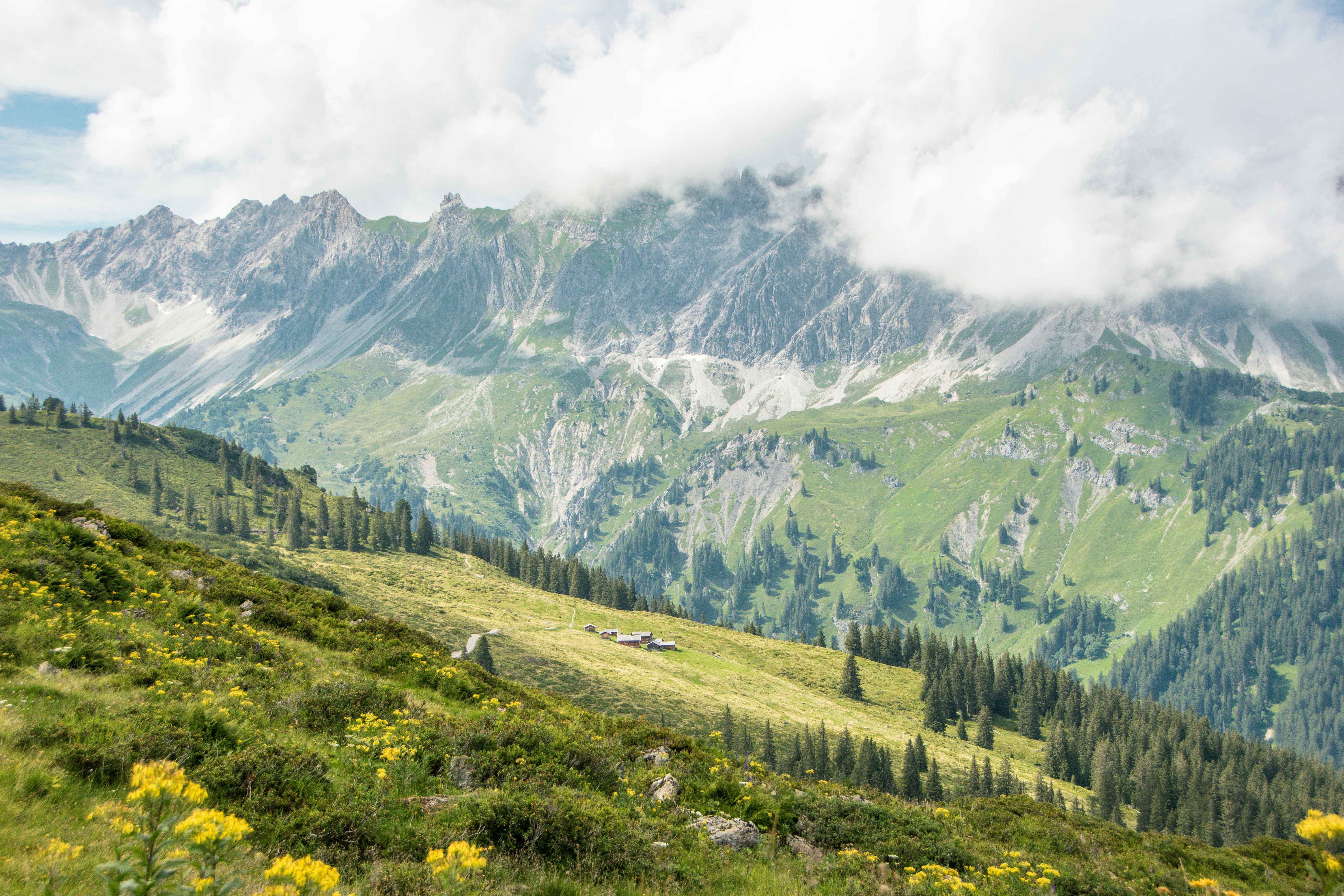 Tabea Schimpf (@tabeaschimpf) | Communauté photos Unsplash