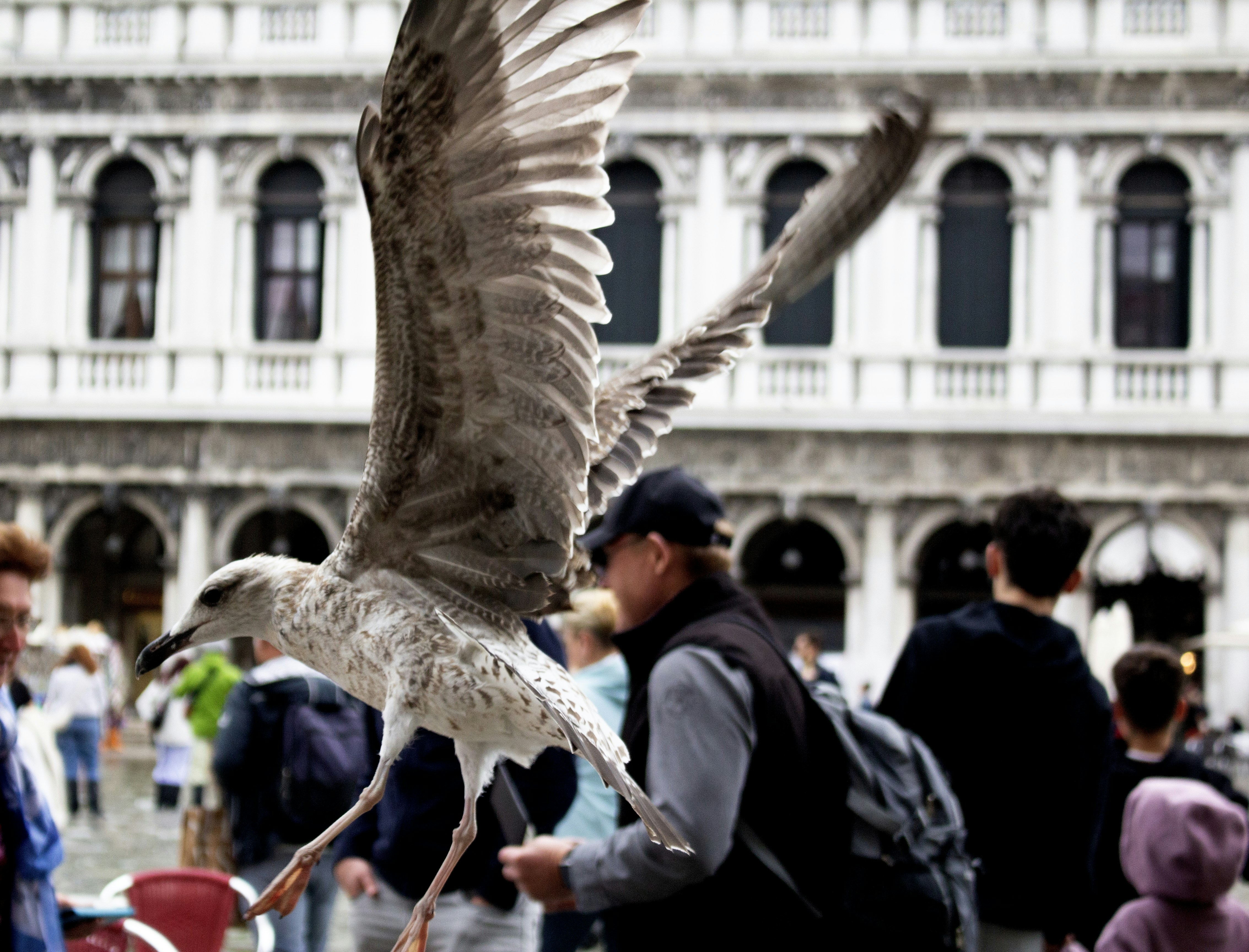 Photo by Germán  Rodríguez with Canon EOS 1200D