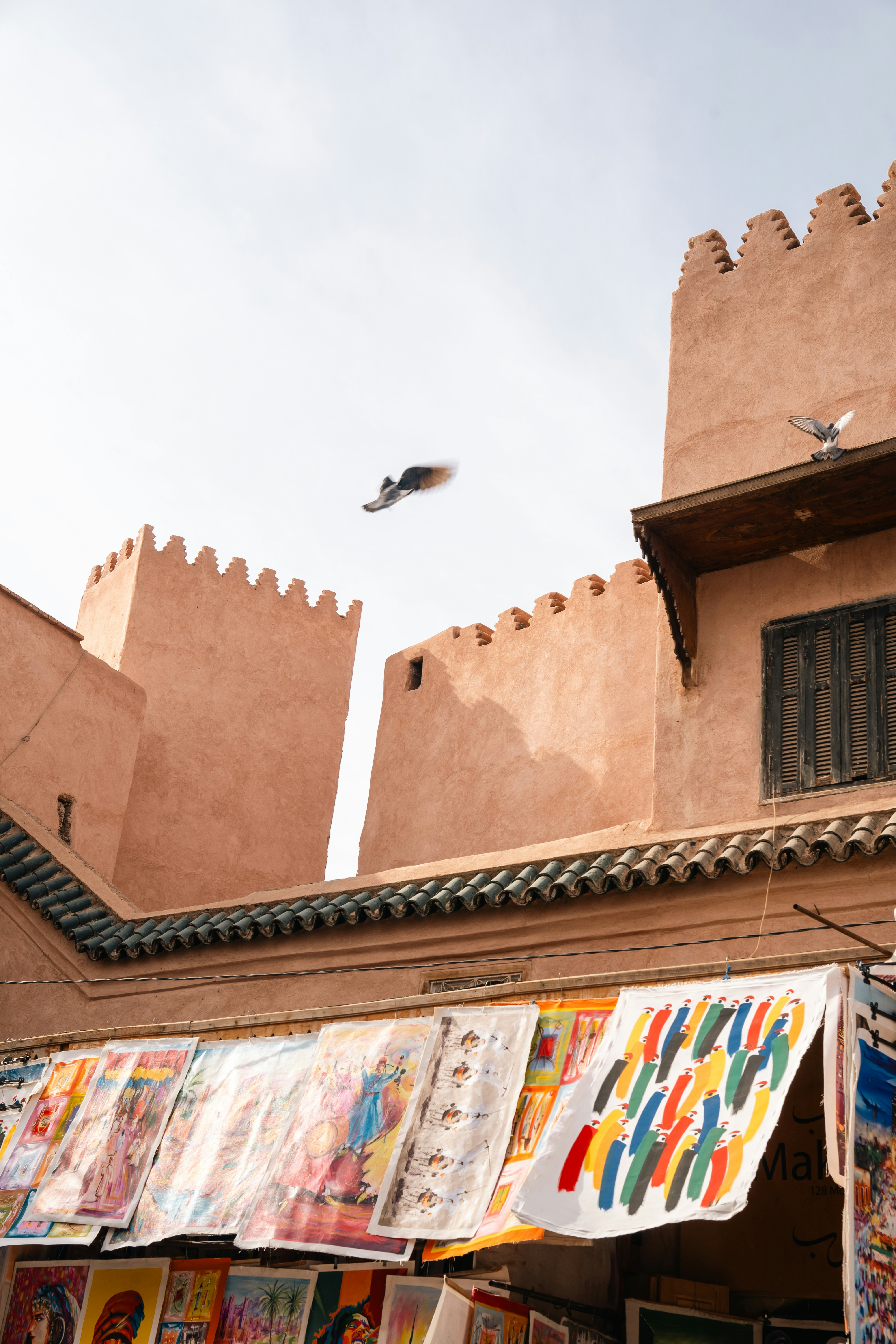 Photo by sander traa with Sony Alpha 7 III