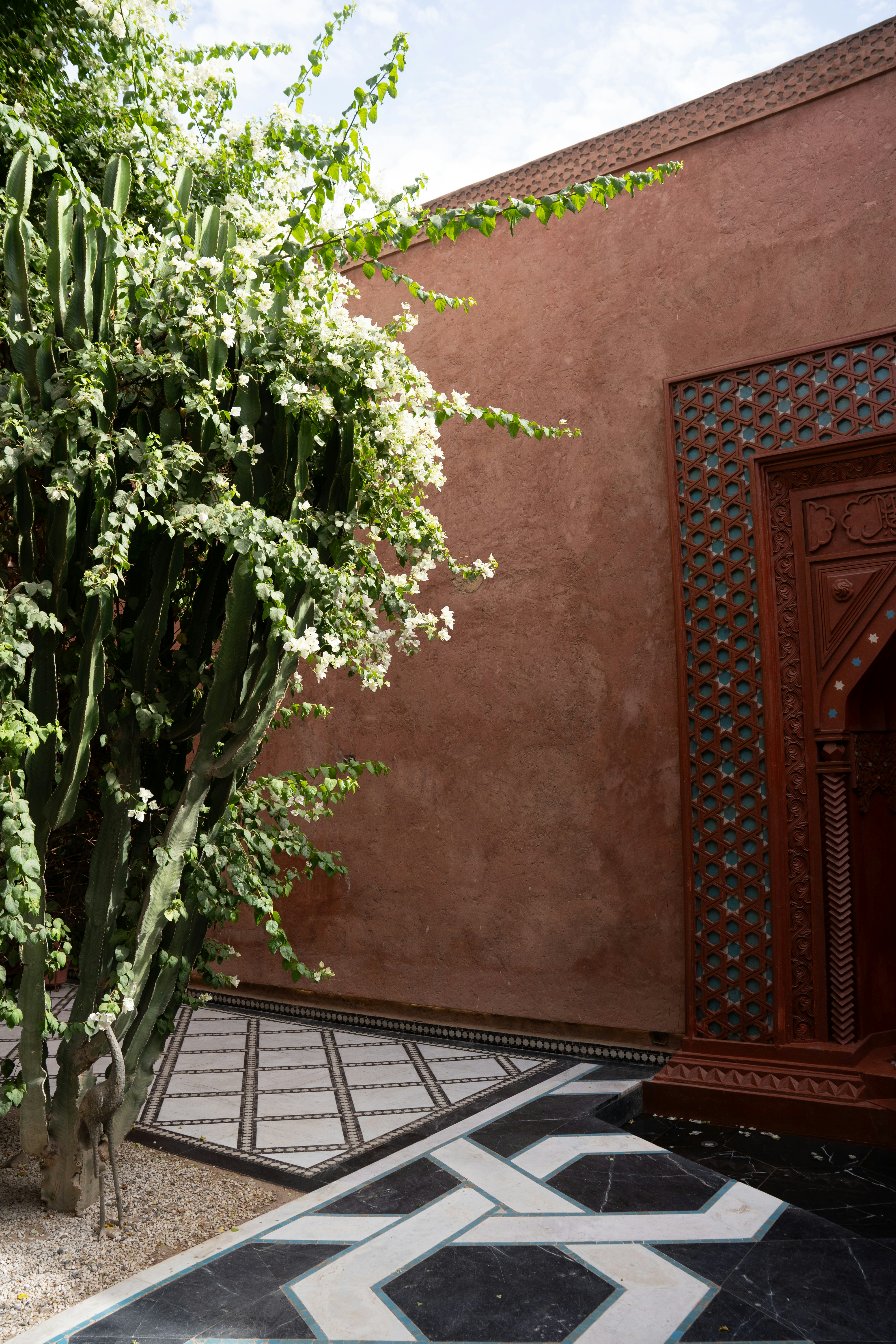 Tall cactus in bloom frames a terracotta courtyard with a carved wooden doorway and geometric tiled floor. The scene contrasts lush white blossoms with warm wall tones and intricate architectural details.