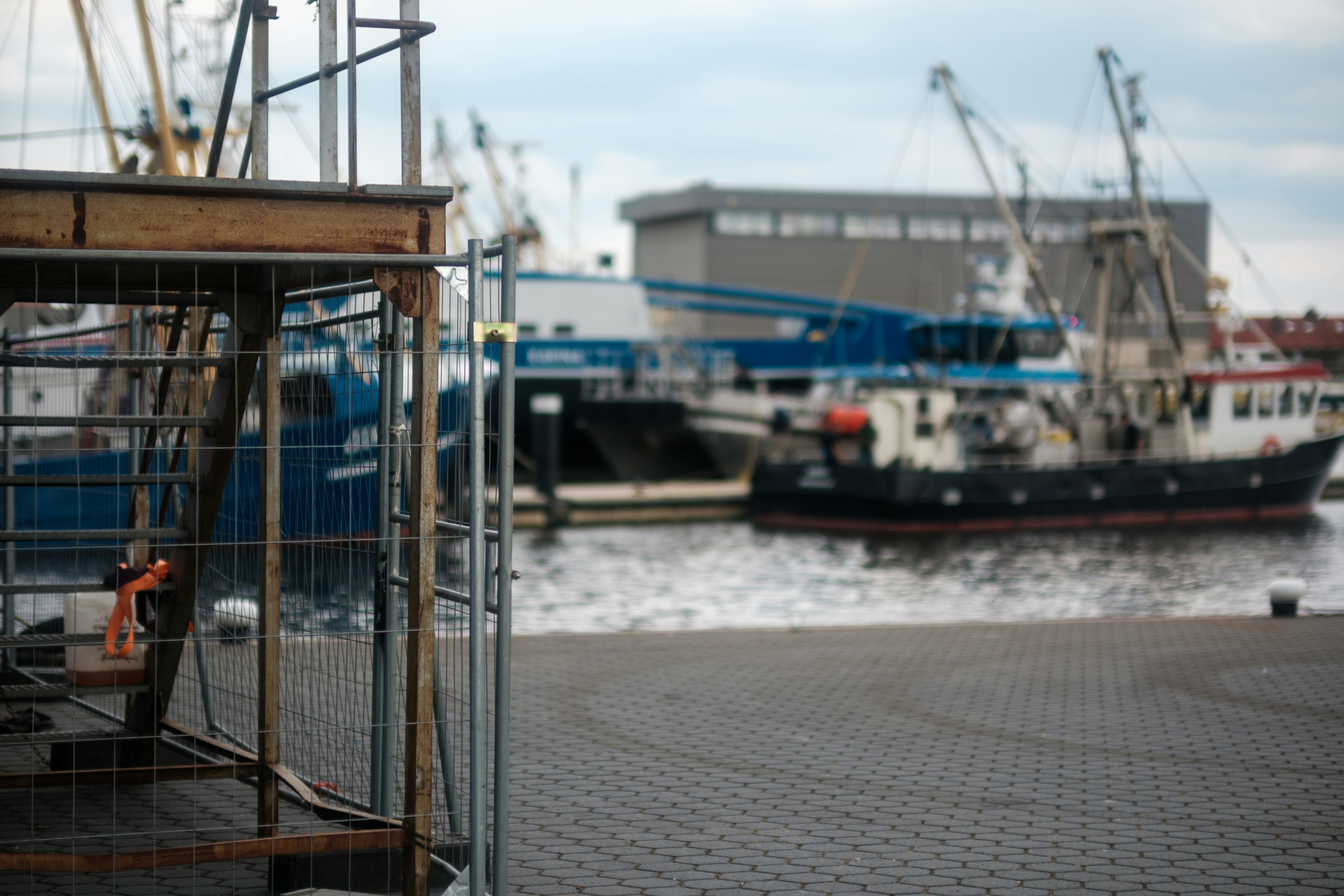 Harbor Fence: A Quiet Frame Between Mesh and Distant Hulls