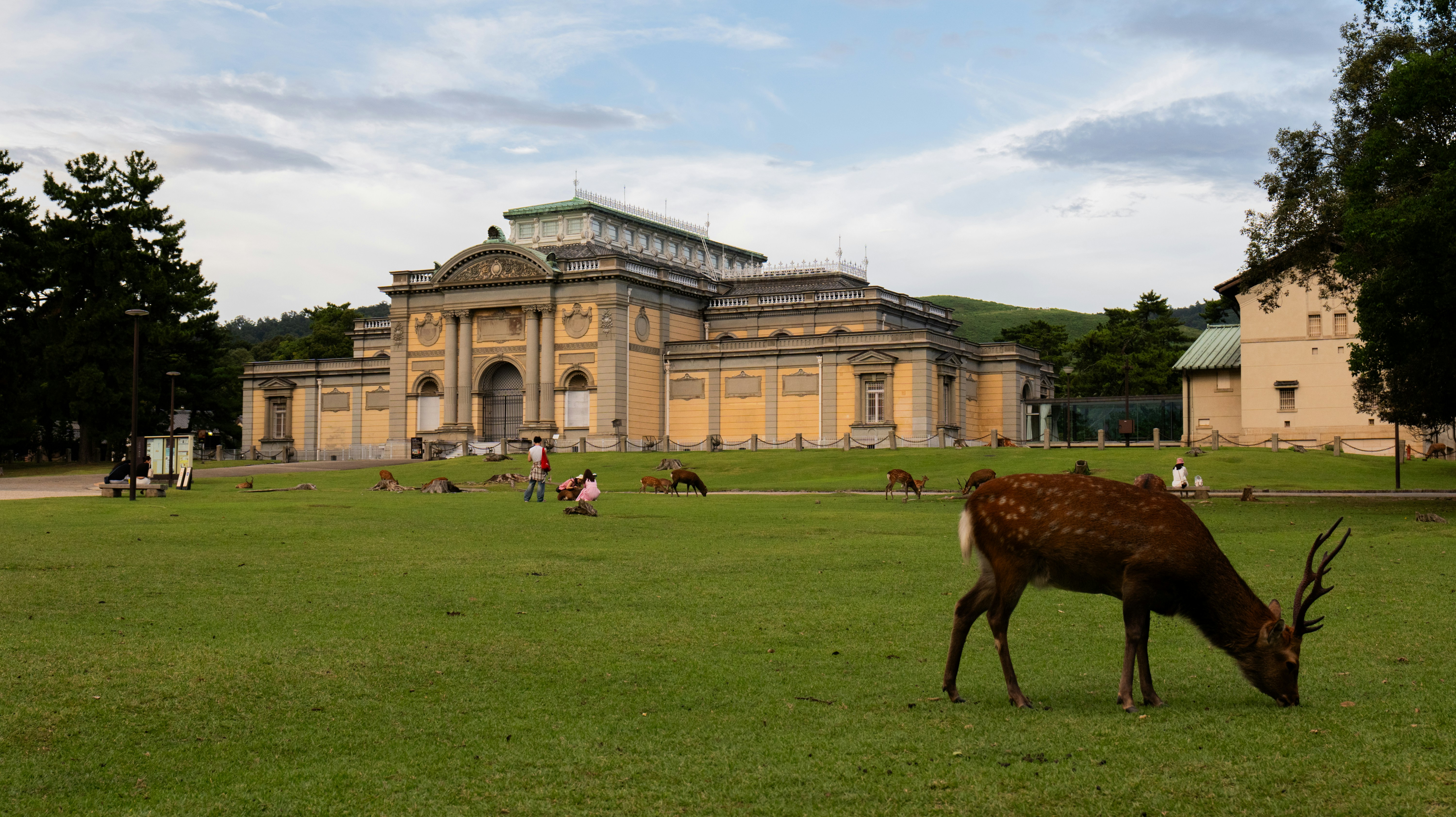 Deer Grazing at the Perimeter of a Classical Palace