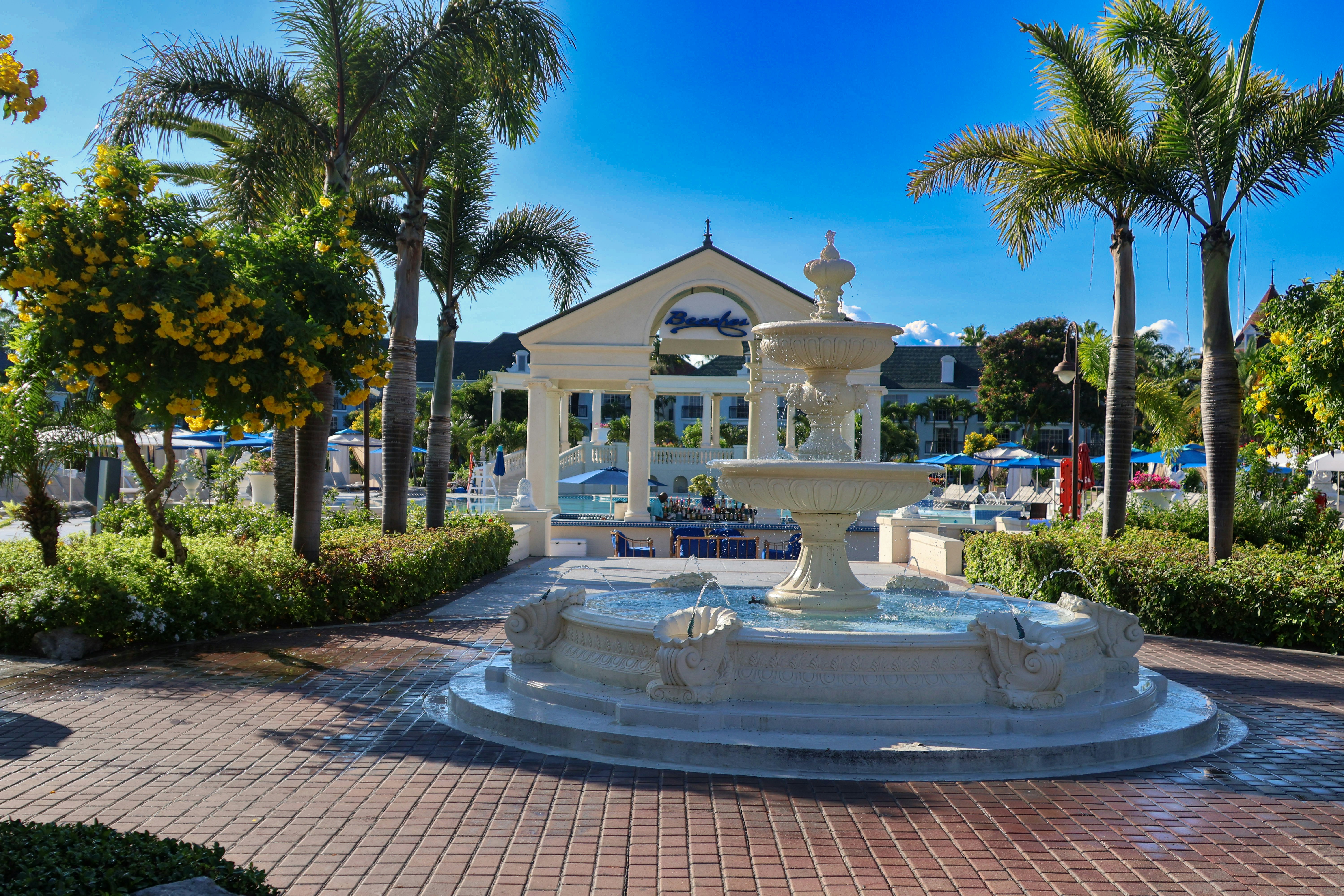 Central Fountain Oasis in a Palm-Lined Plaza Under a Clear Blue Sky