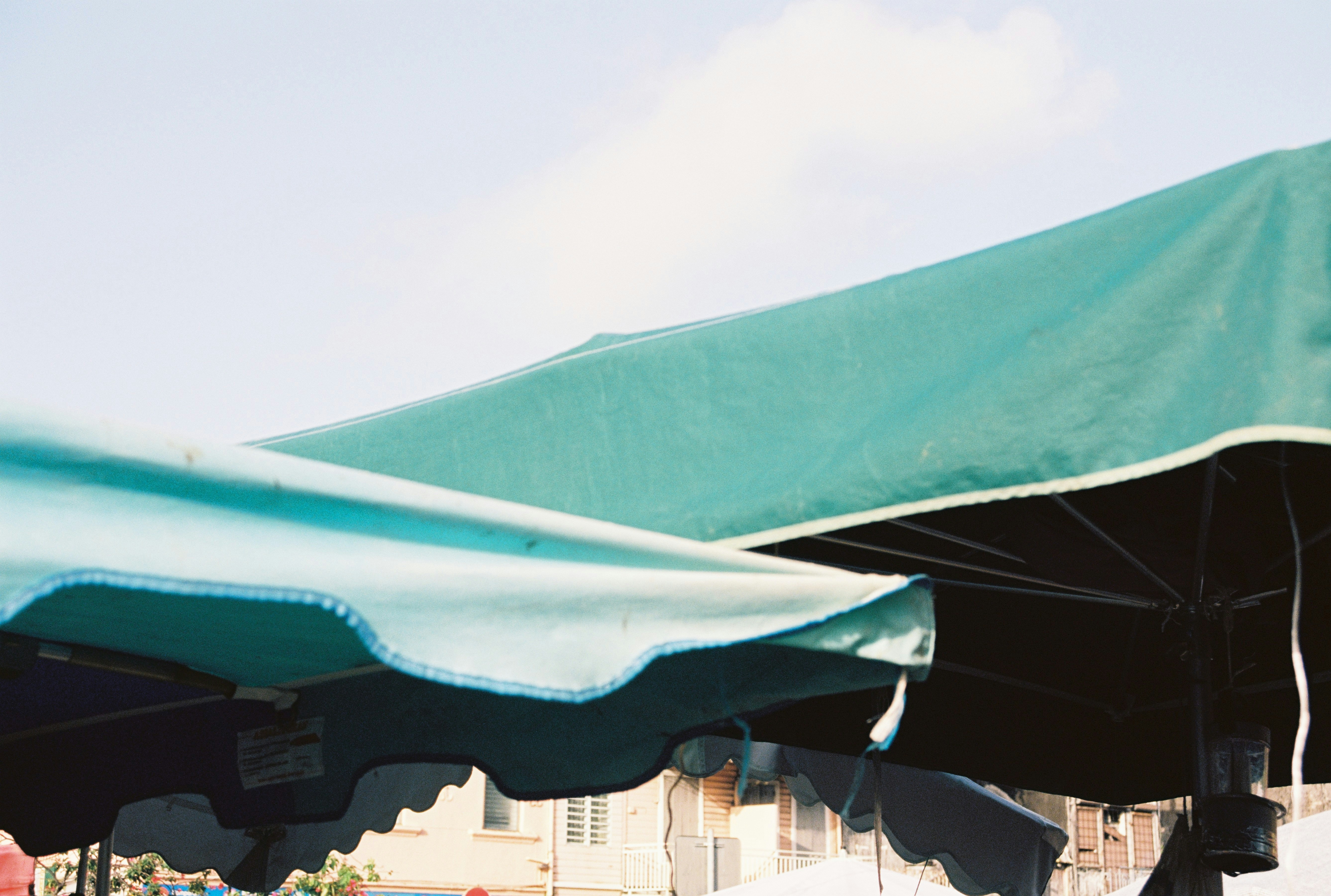 Teal Canopy Overhead: A Quiet Market Scene in Sunlit Calm