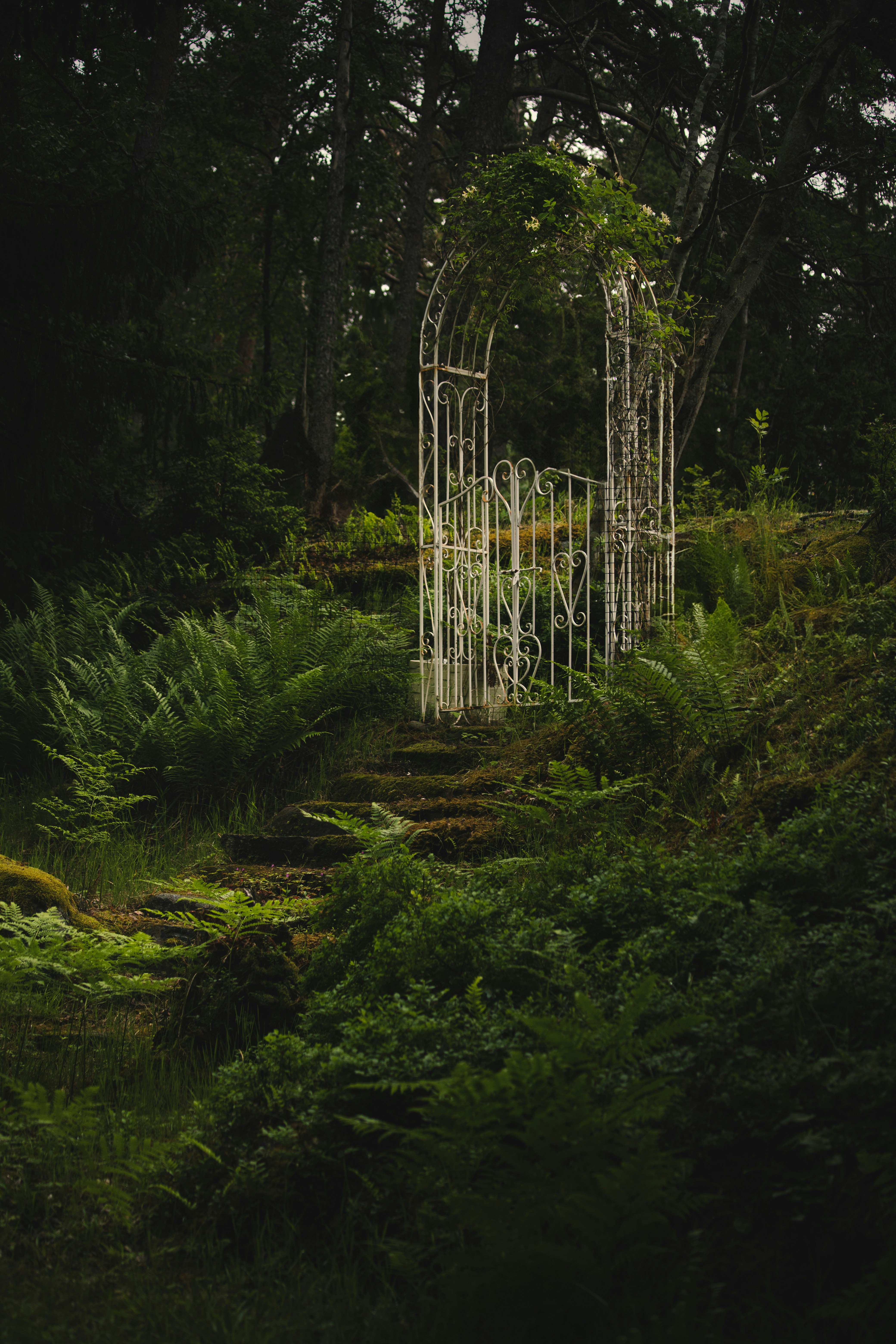 A white gate sitting on top of a lush green hillside photo – Free ...