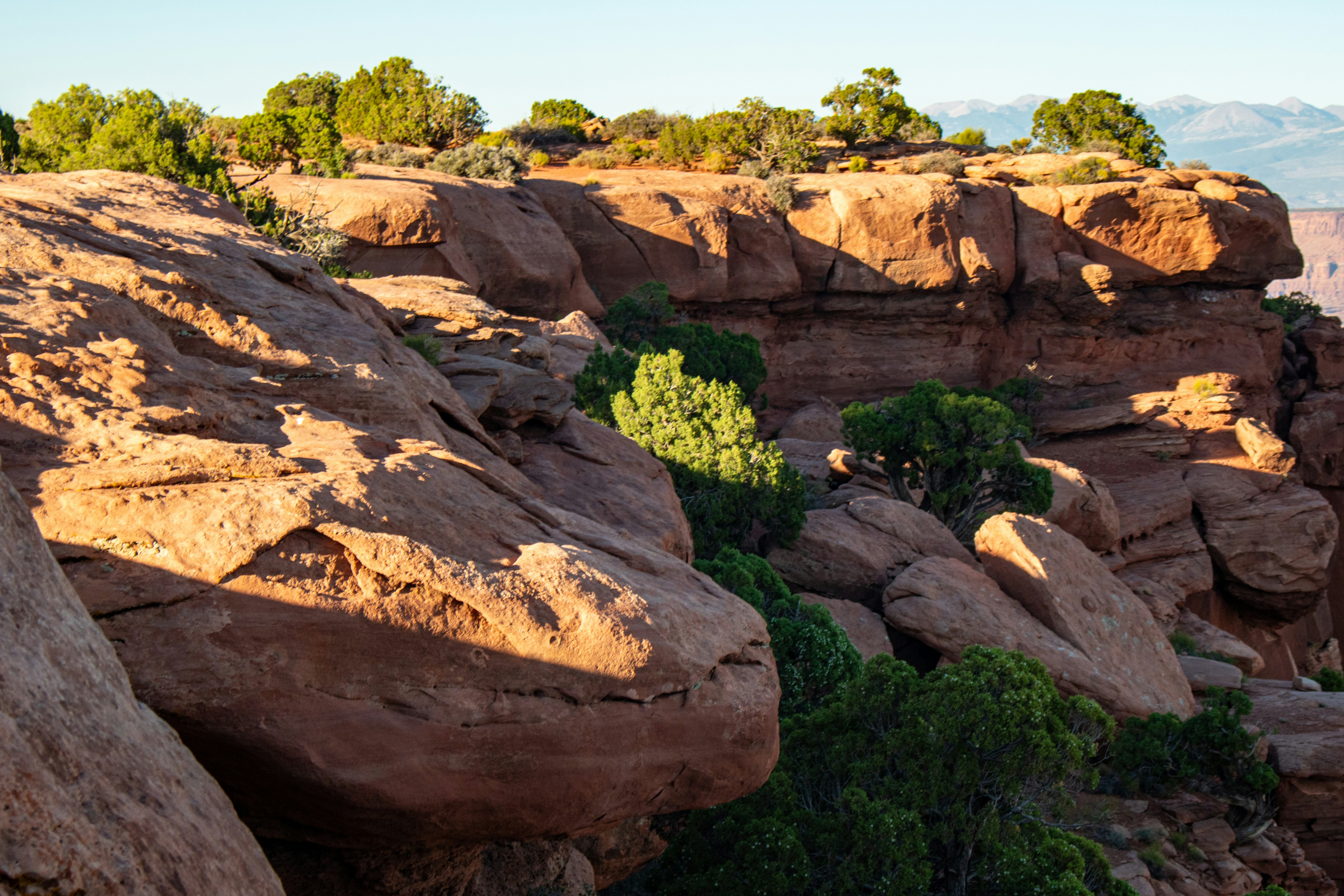Desert Carved Cliffs under a Sky of Blue