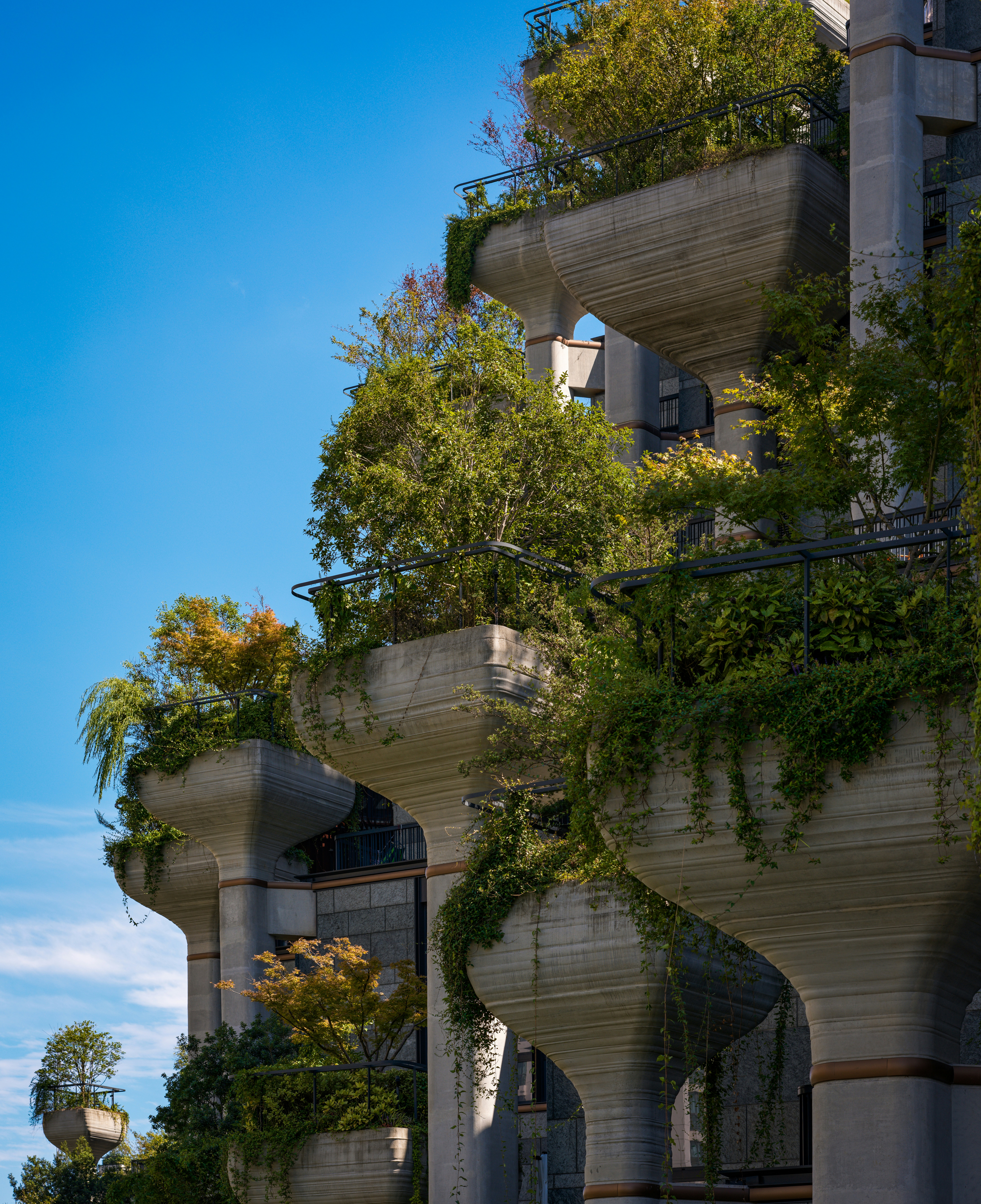 Verdant Cantilevers: Concrete Balconies Clad in Skyward Greenery