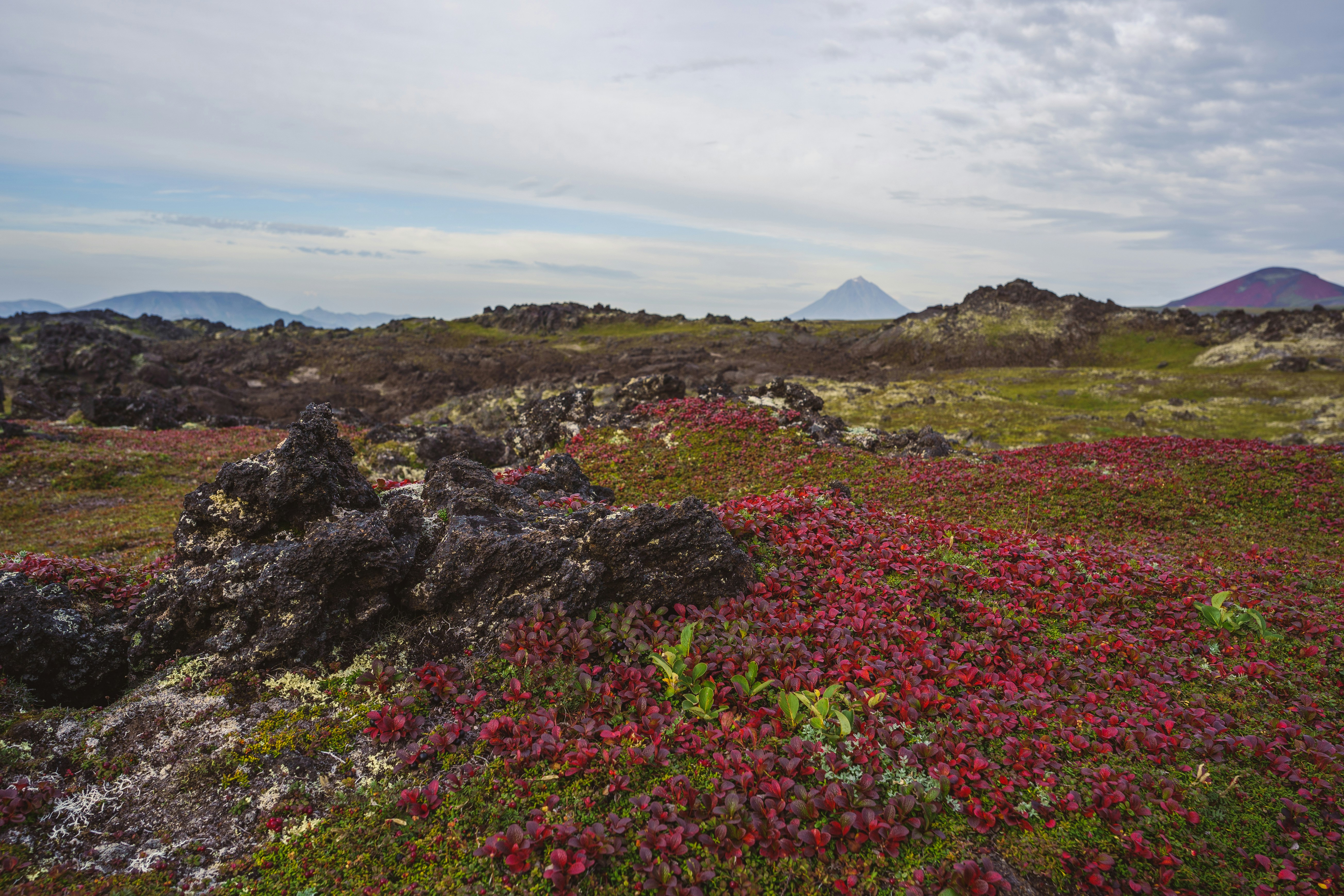 Photo by Red Shuheart with Sony Alpha 7C