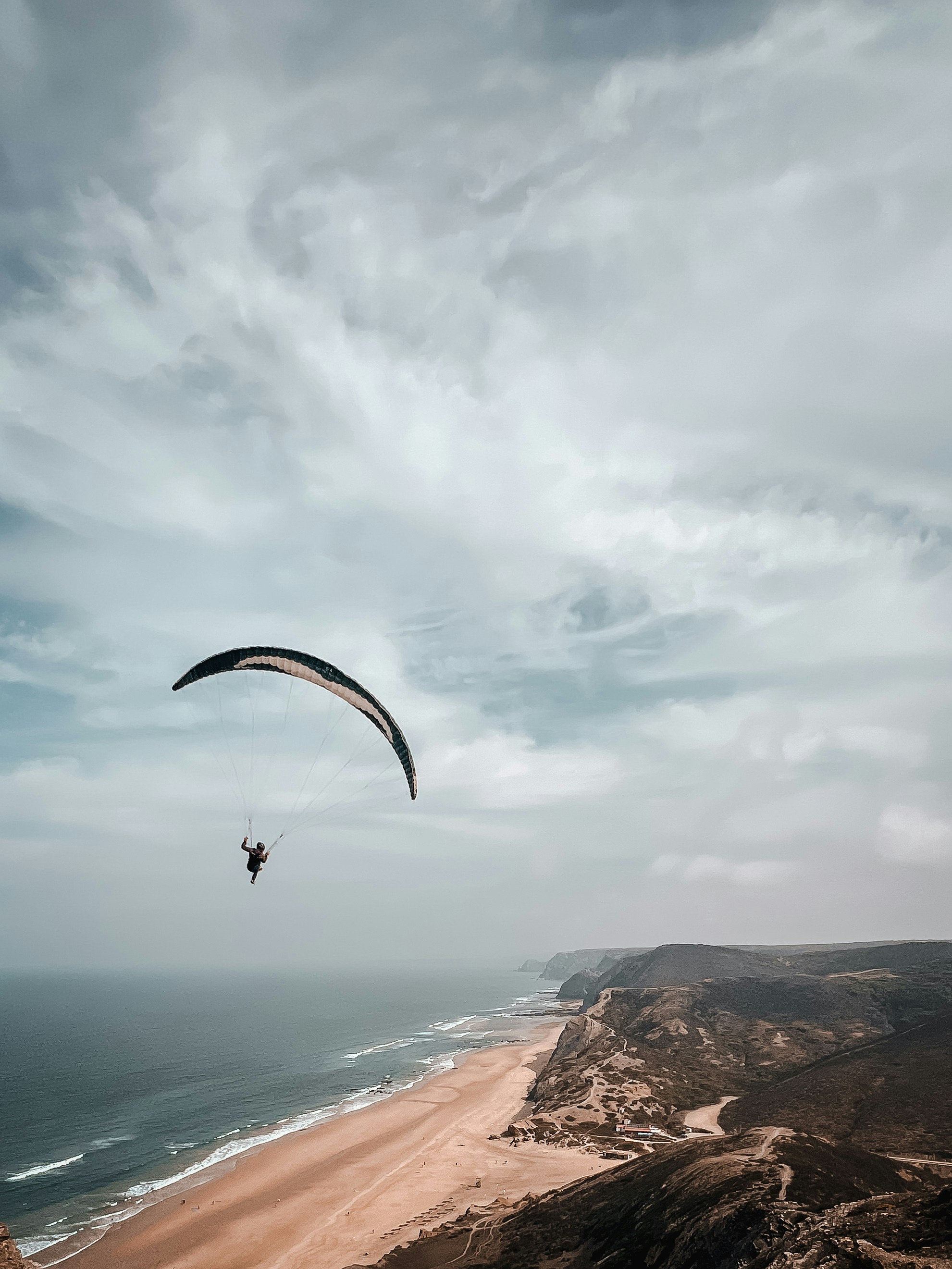 Soaring Silhouette over a Curving Coastal Cliff