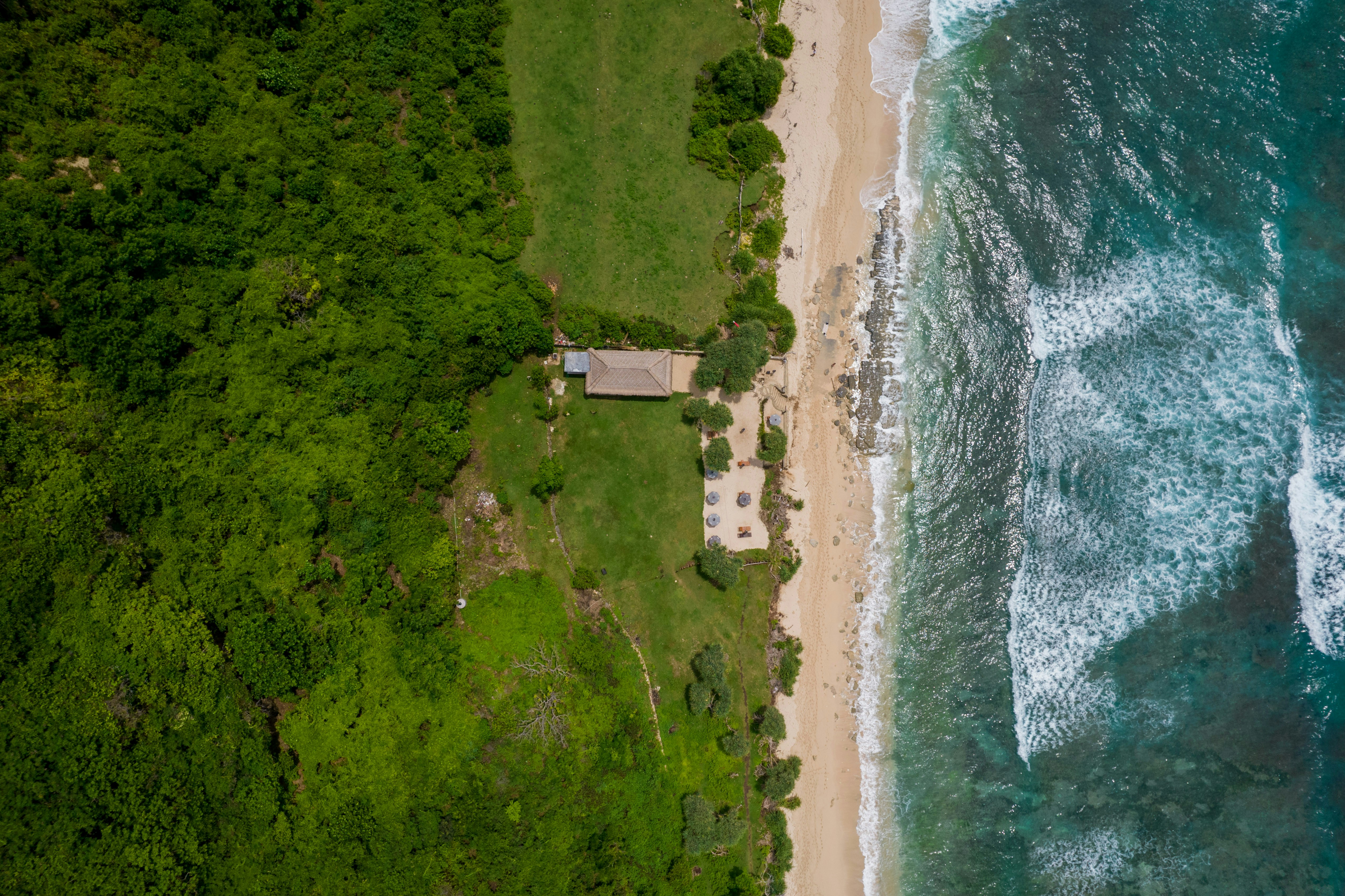Edge of Green and Tide: A Secluded Beach House Framed by Jungle