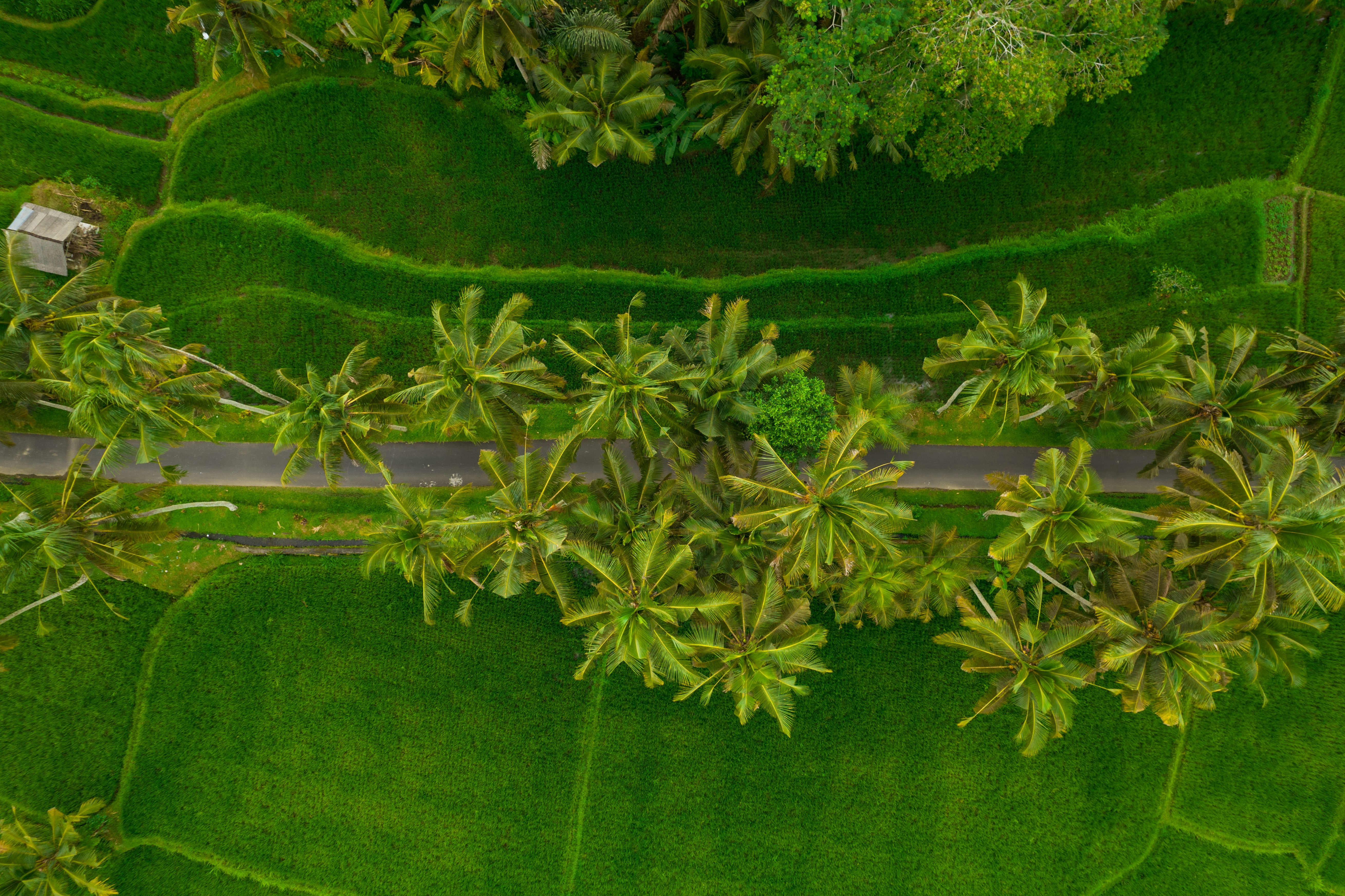 Photo by Antonio Araujo with DJI Air 2S