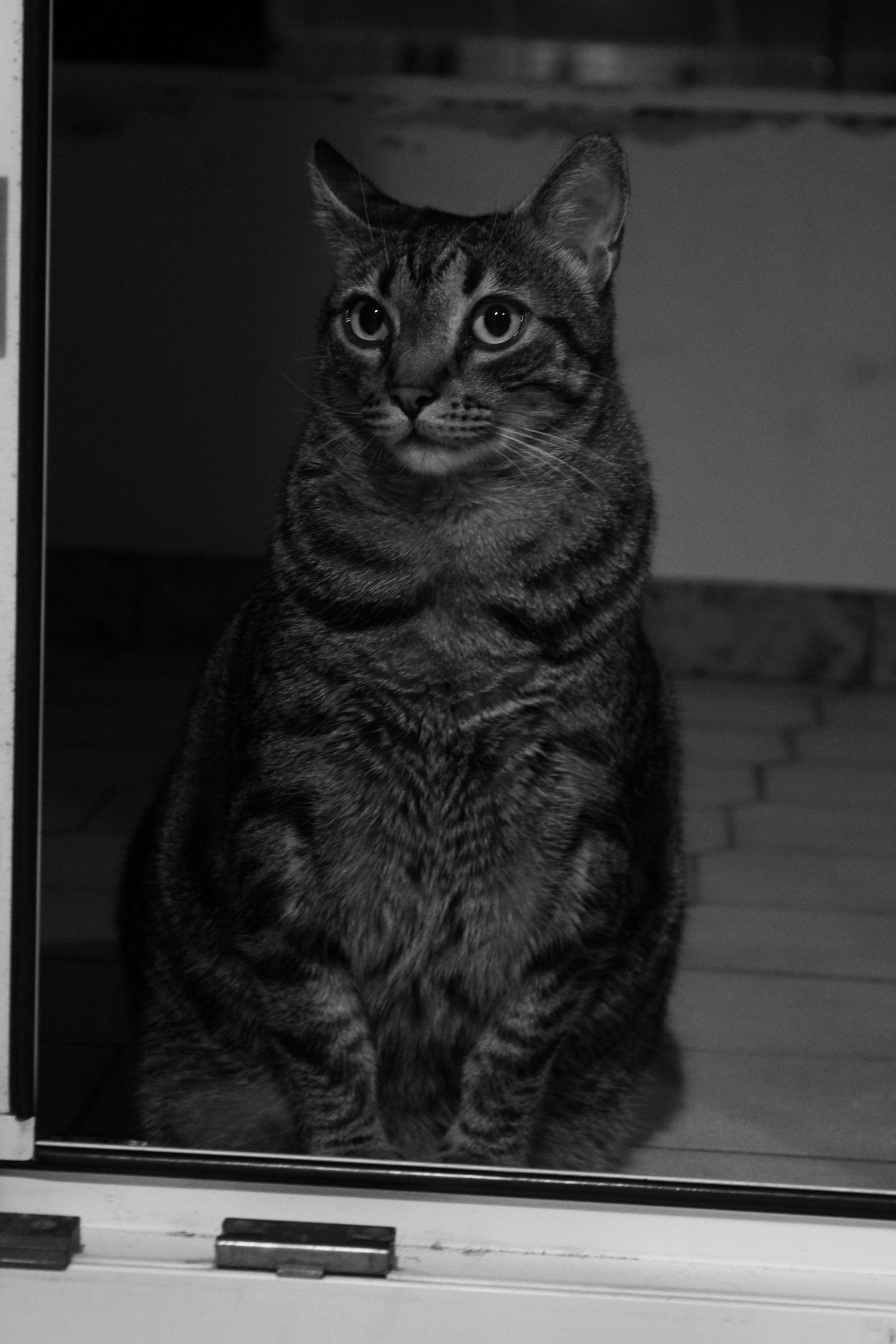 Photo by Mary Karletsoy with Canon EOS 2000D