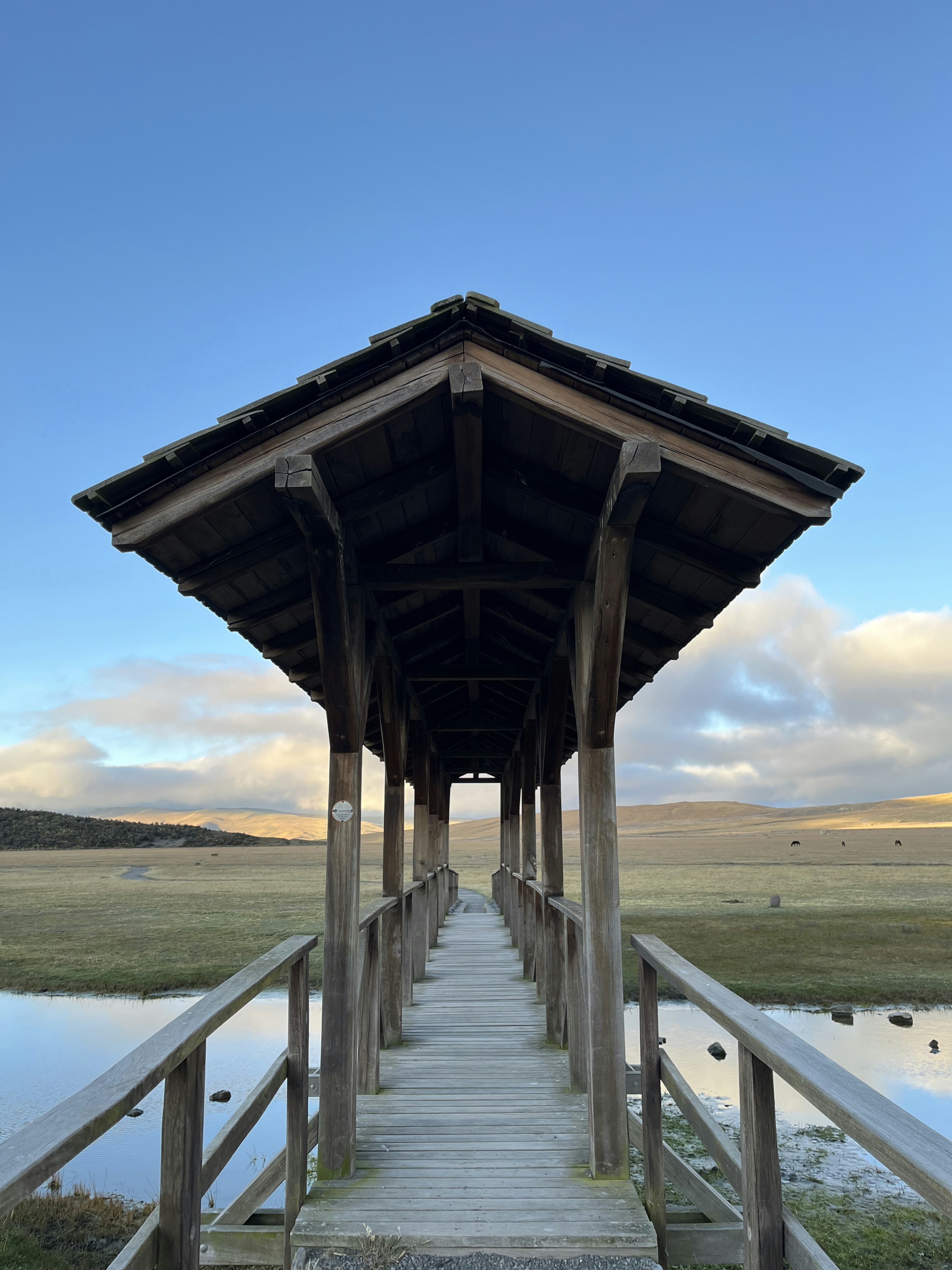 Canopy Corridor to the Prairie's Edge