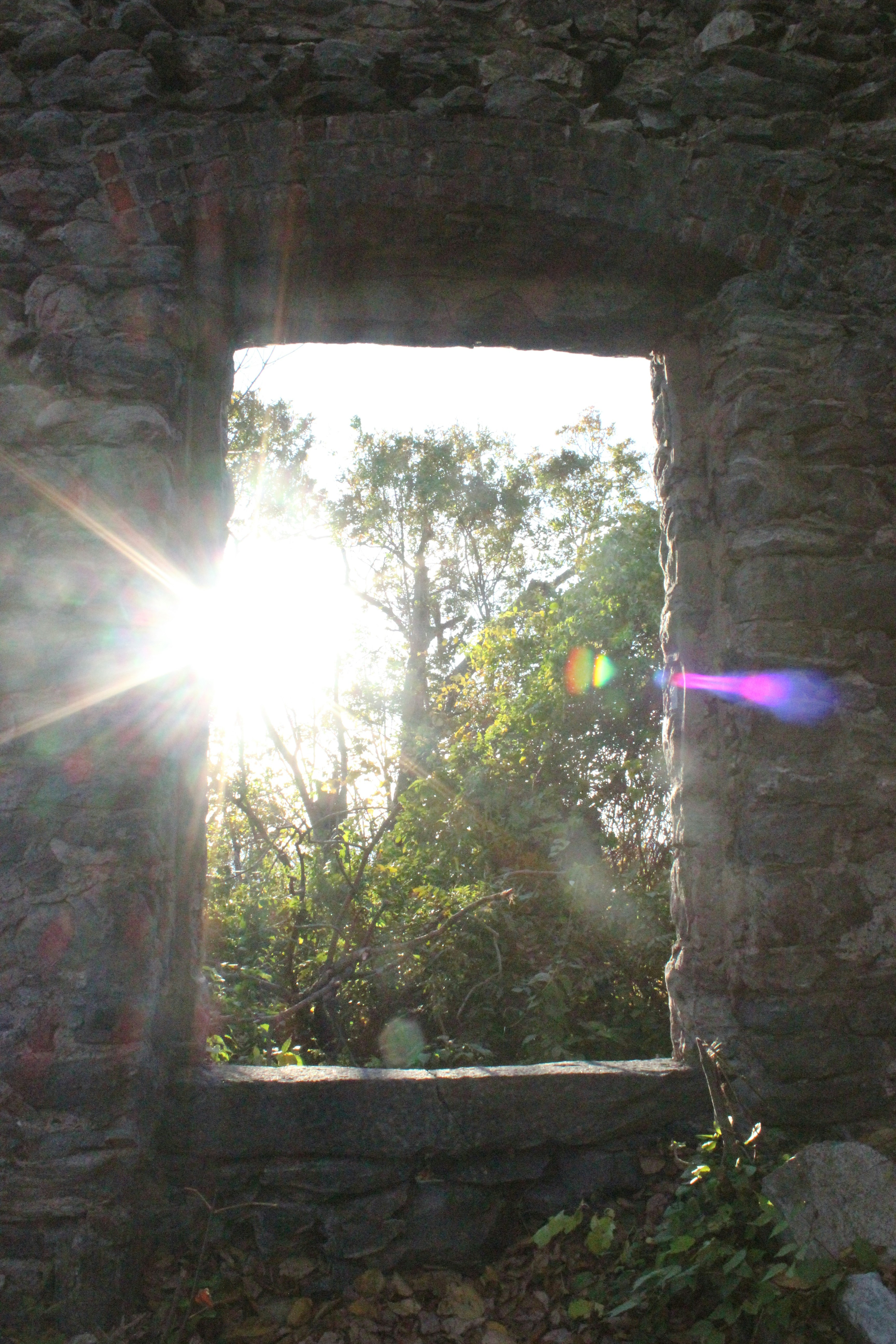 Sunburst Through a Ruined Stone Window: Greenery Framed by Weathered Masonry