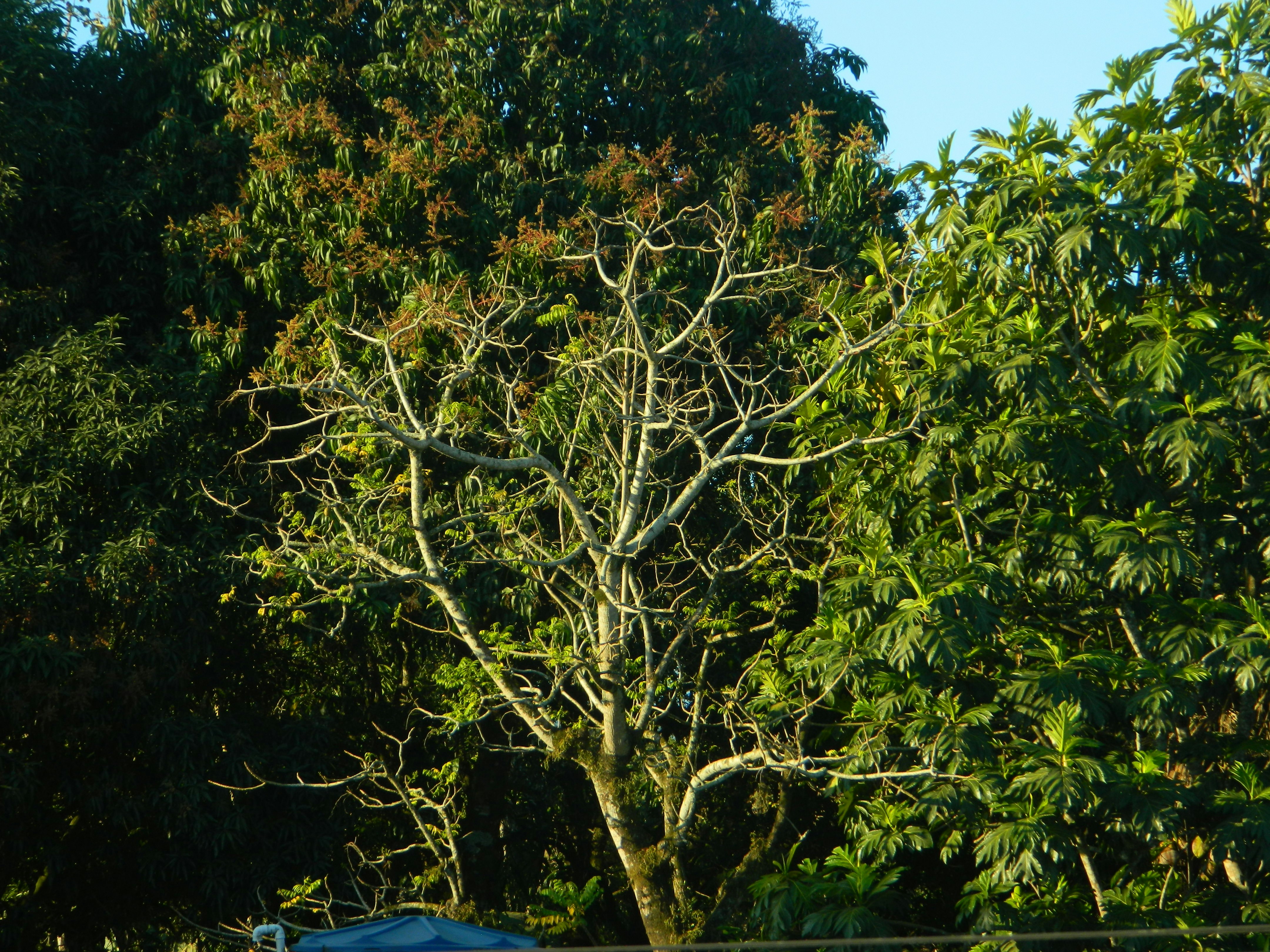 Photo by ashinJPG with Nikon Coolpix L120