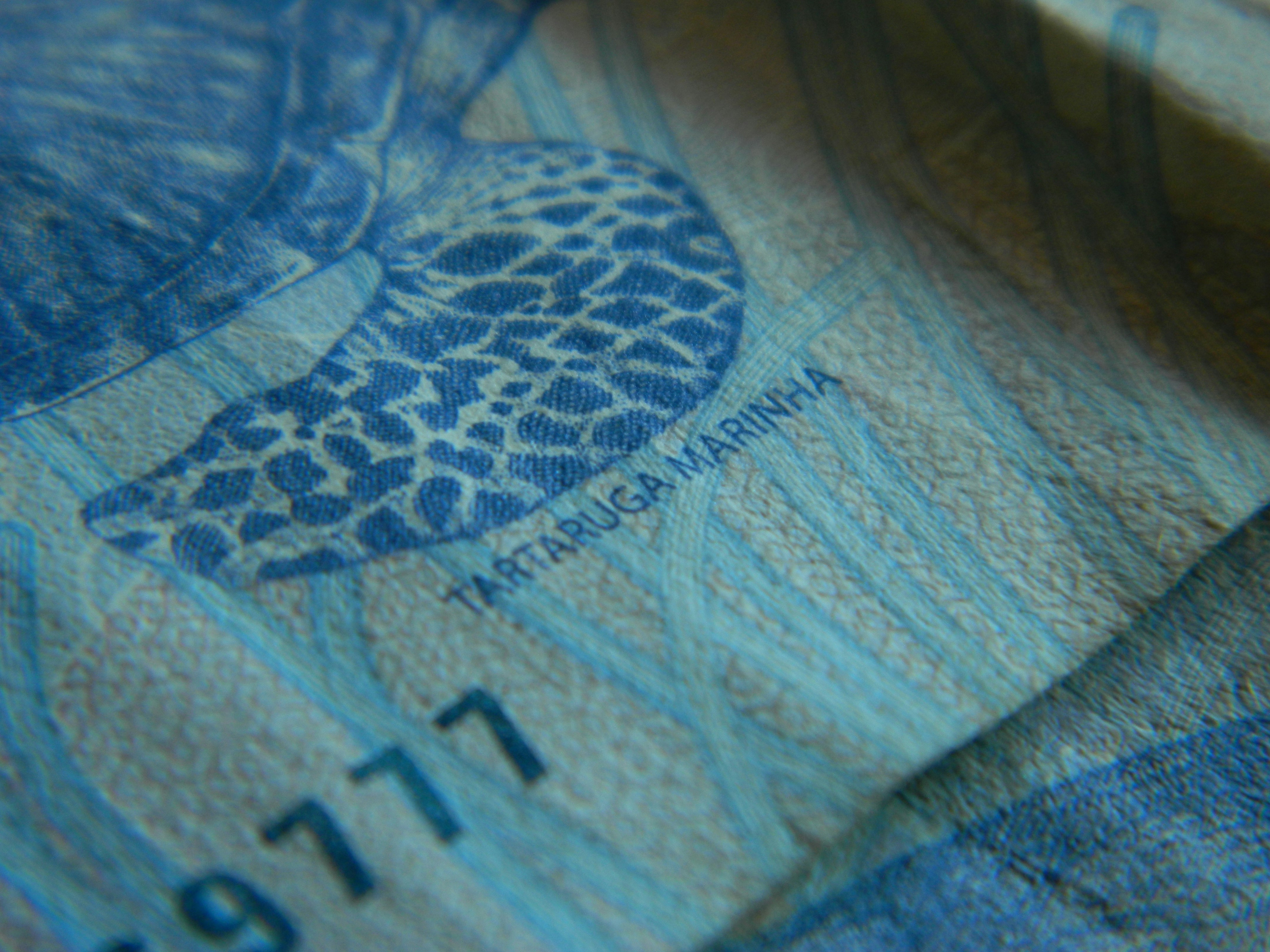Close-Up of a Blue-Tinted Banknote Texture and Pattern