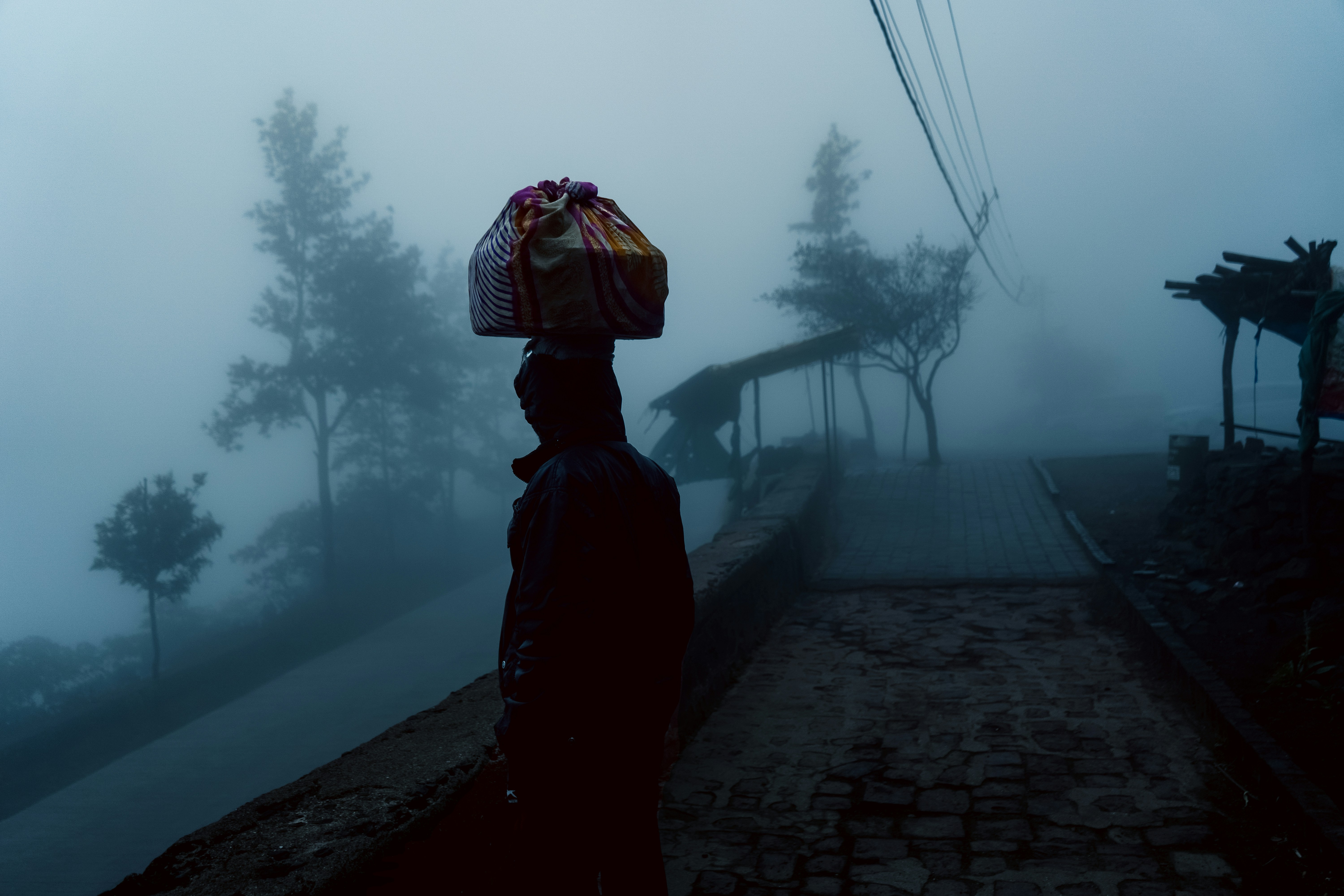 Silhouette in the Mist A striking silhouette of a person walking through dense fog, captured against a backdrop of tall trees and a mist-covered path. The soft, diffused lighting enhances the moody atmosphere, while the high contrast between the figure and the mist adds depth to the composition. This photograph plays with negative space, drawing the viewer's attention to the texture of the fog and the solitude of the scene. Ideal for conveying themes of mystery, travel, or rural life in atmospheric conditions.Mustafa Fatemi