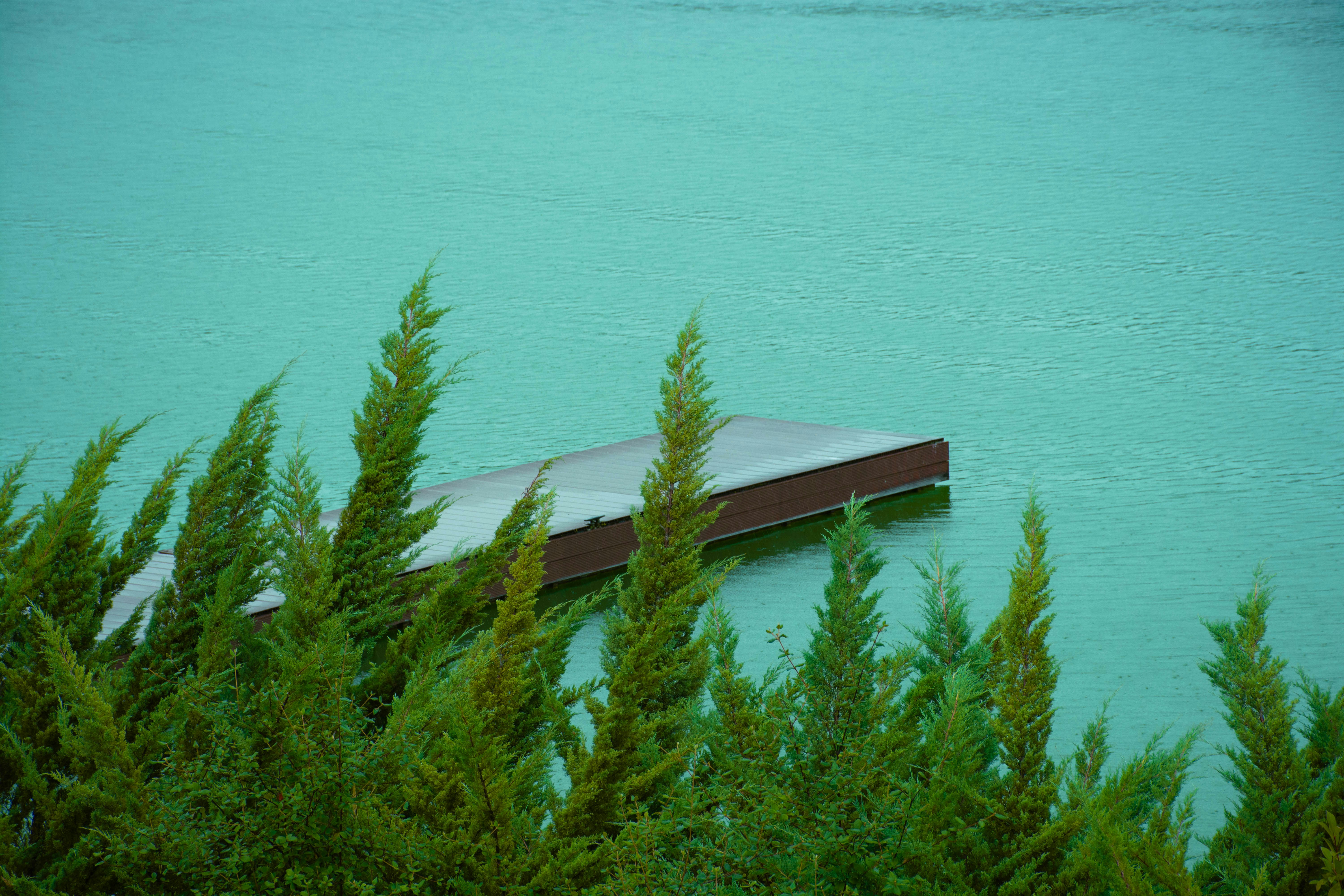 Teal Waters, Hidden Dock Framed by Conifers