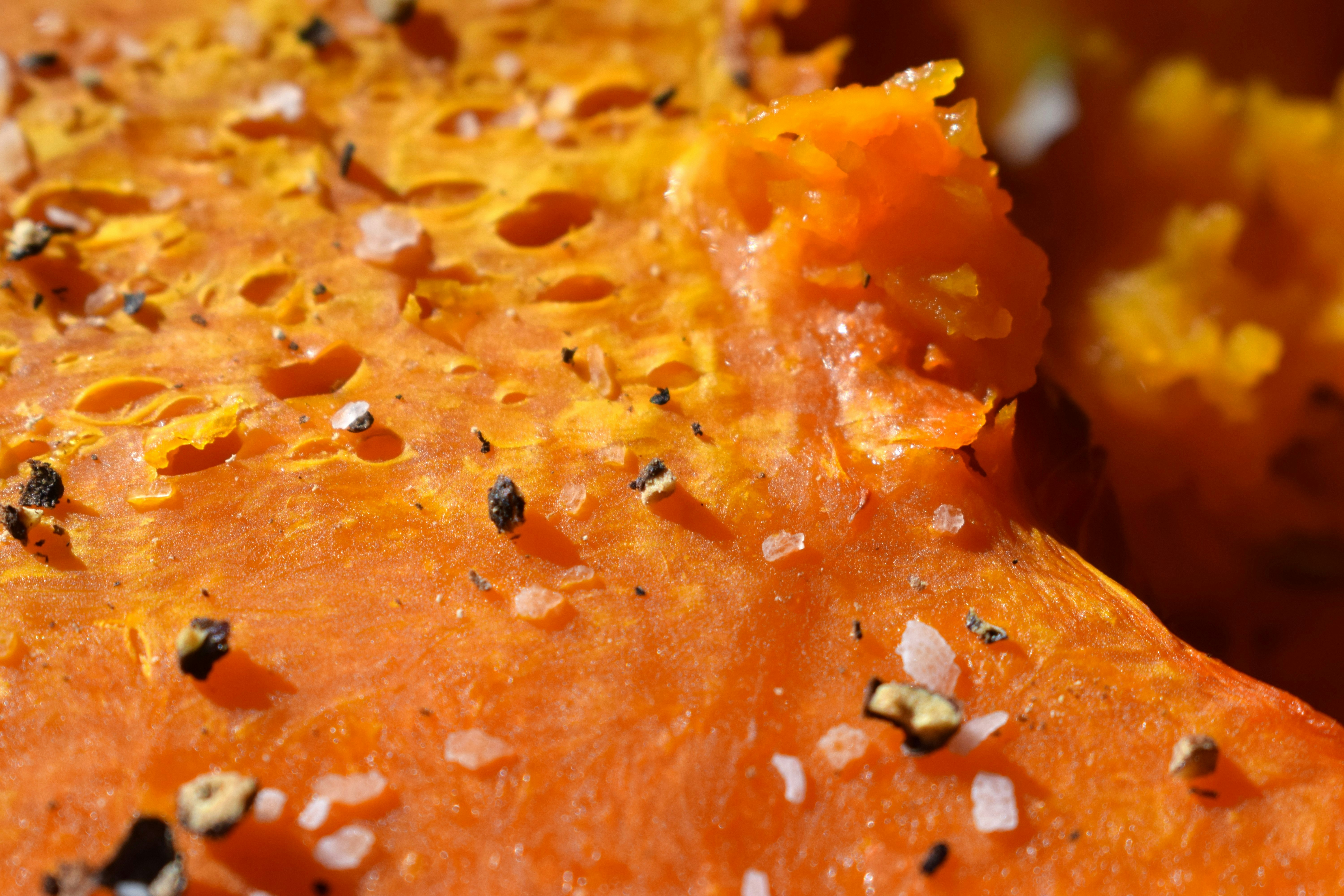 Butternut Pictures | Download Free Images on Unsplash