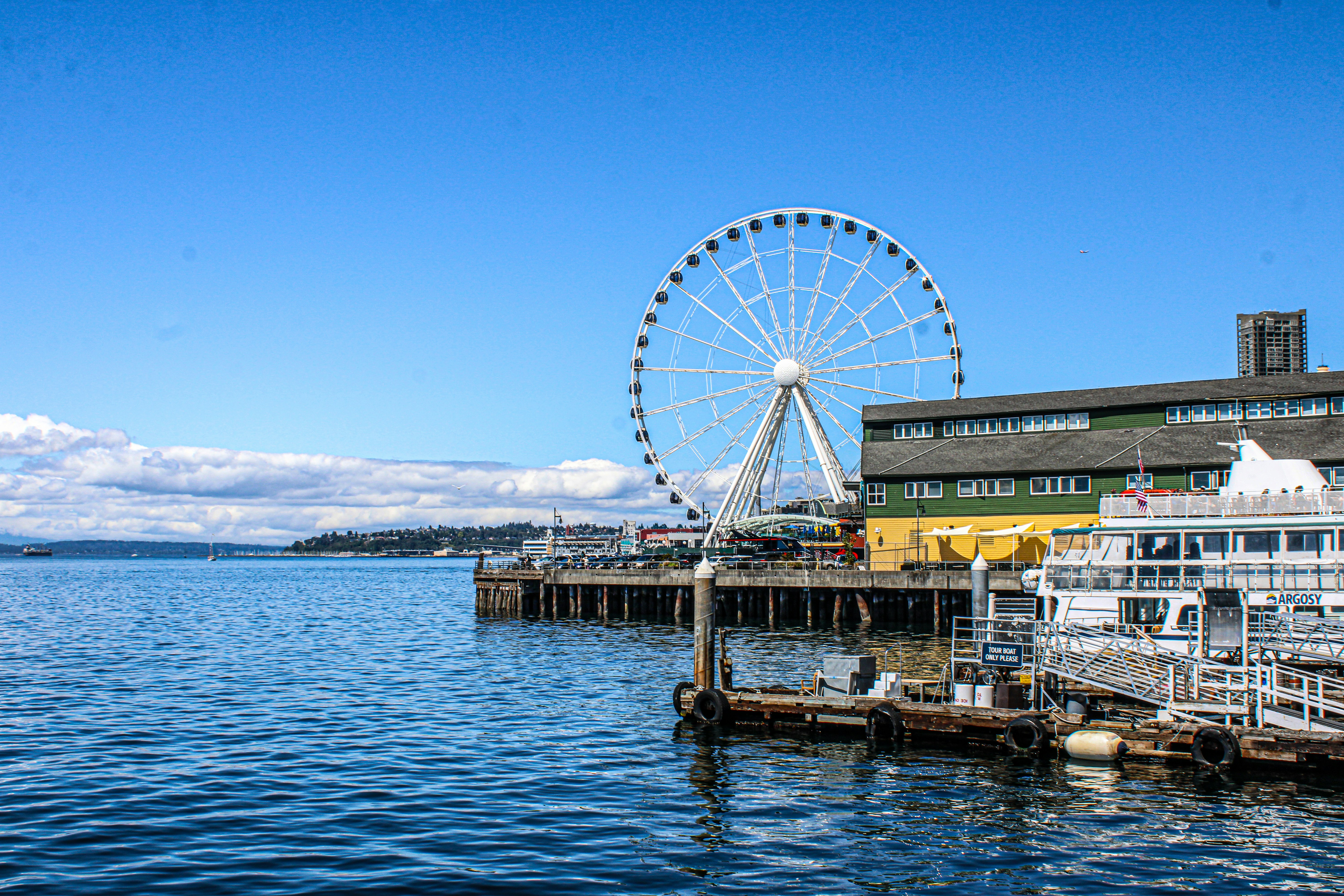 Photo by Peter Robbins with Canon EOS 2000D