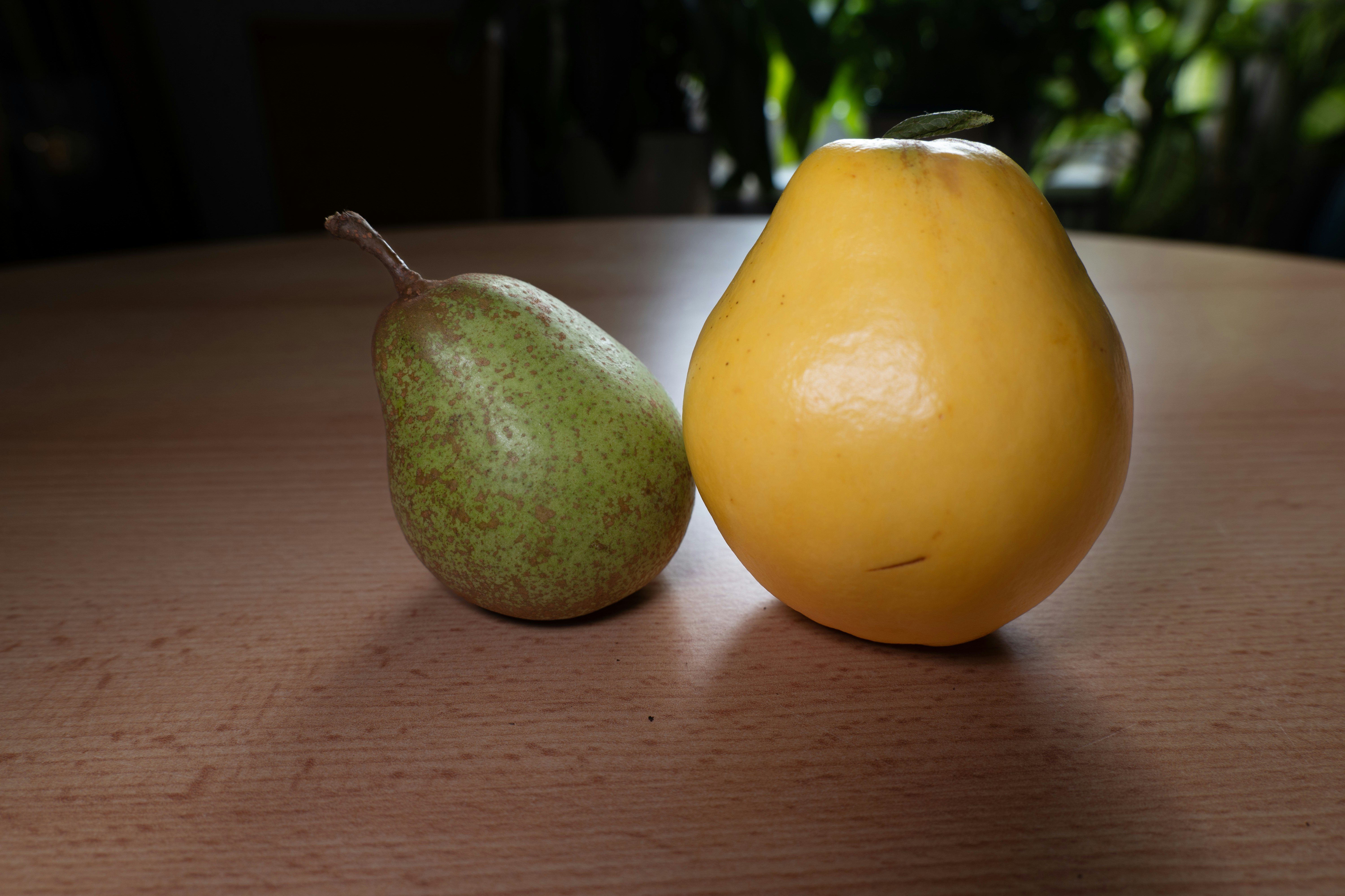 Different Fruits Pictures | Download Free Images on Unsplash