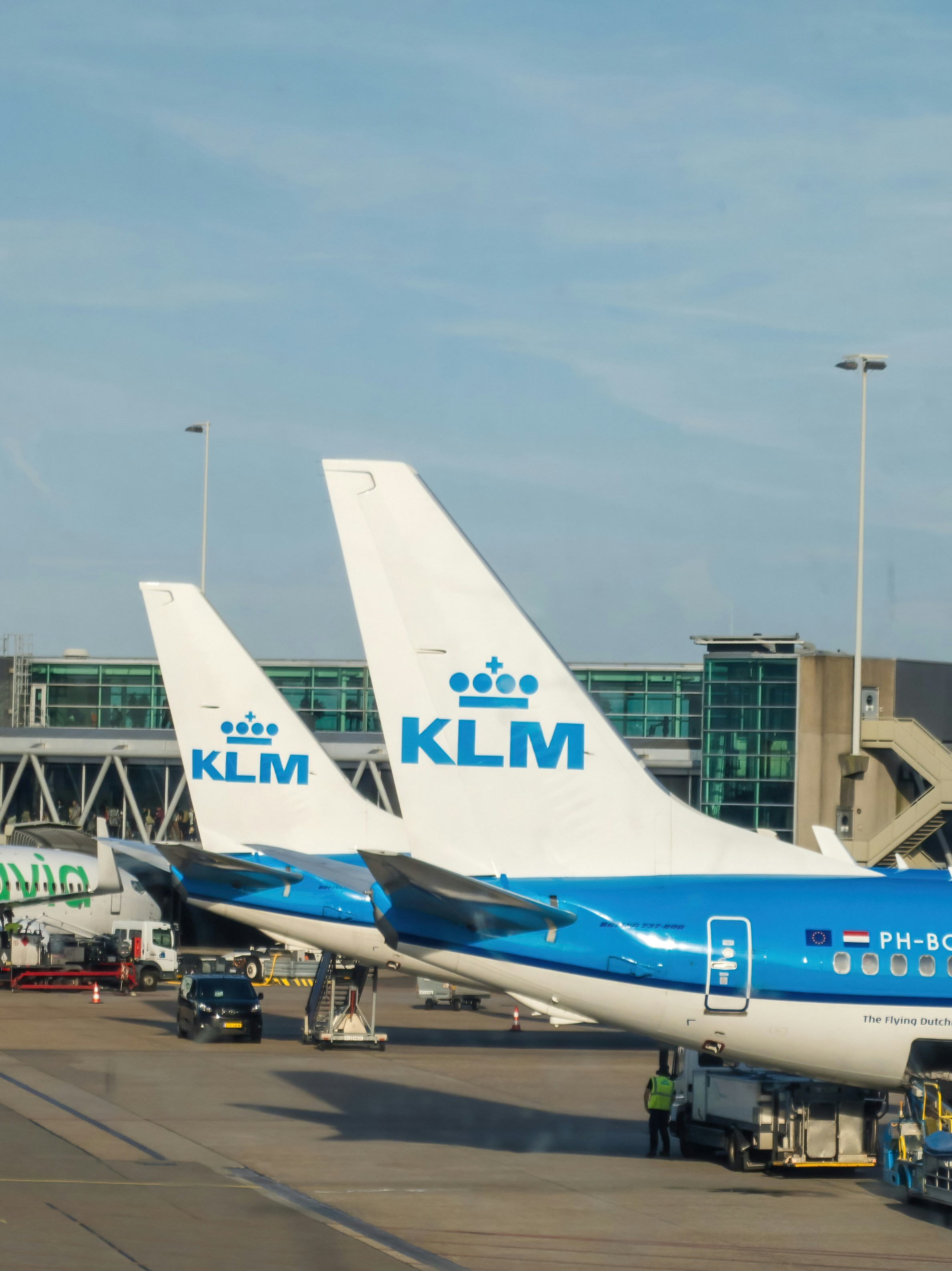 A group of airplanes parked at an airport