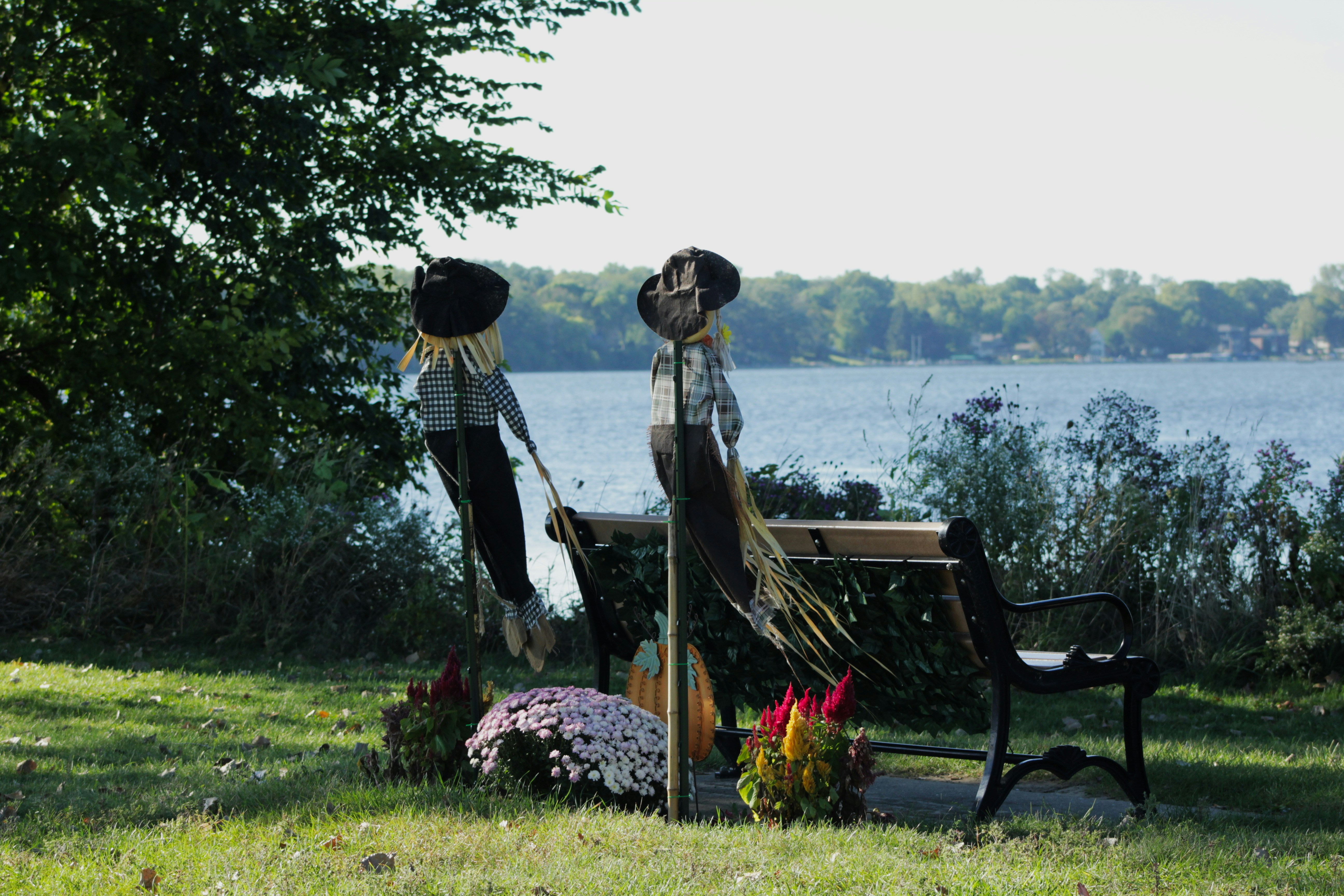 Whimsical Guardians by the Lakeside