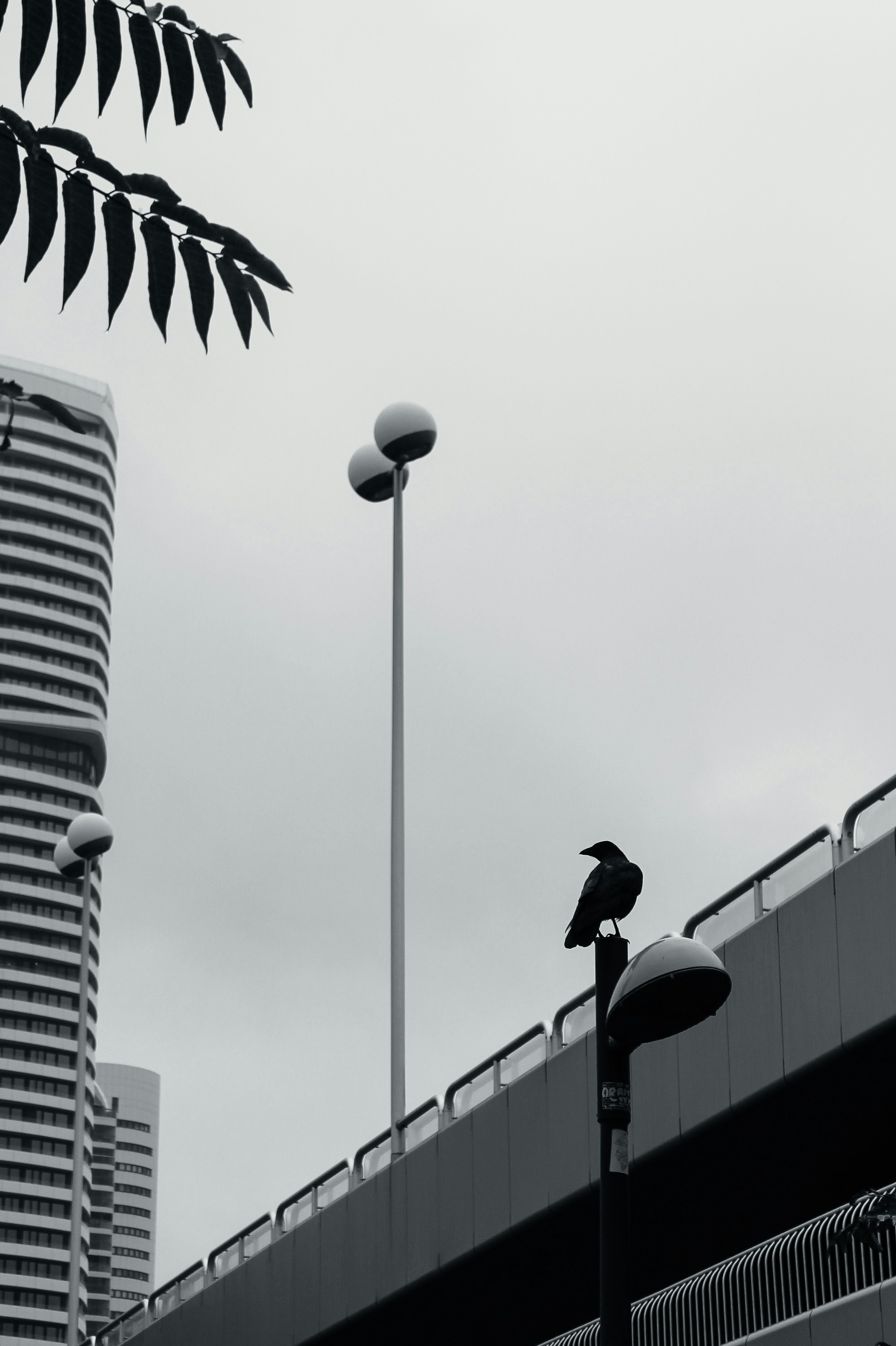 Crow on a Lamp Post Over a Monochrome City Bridge