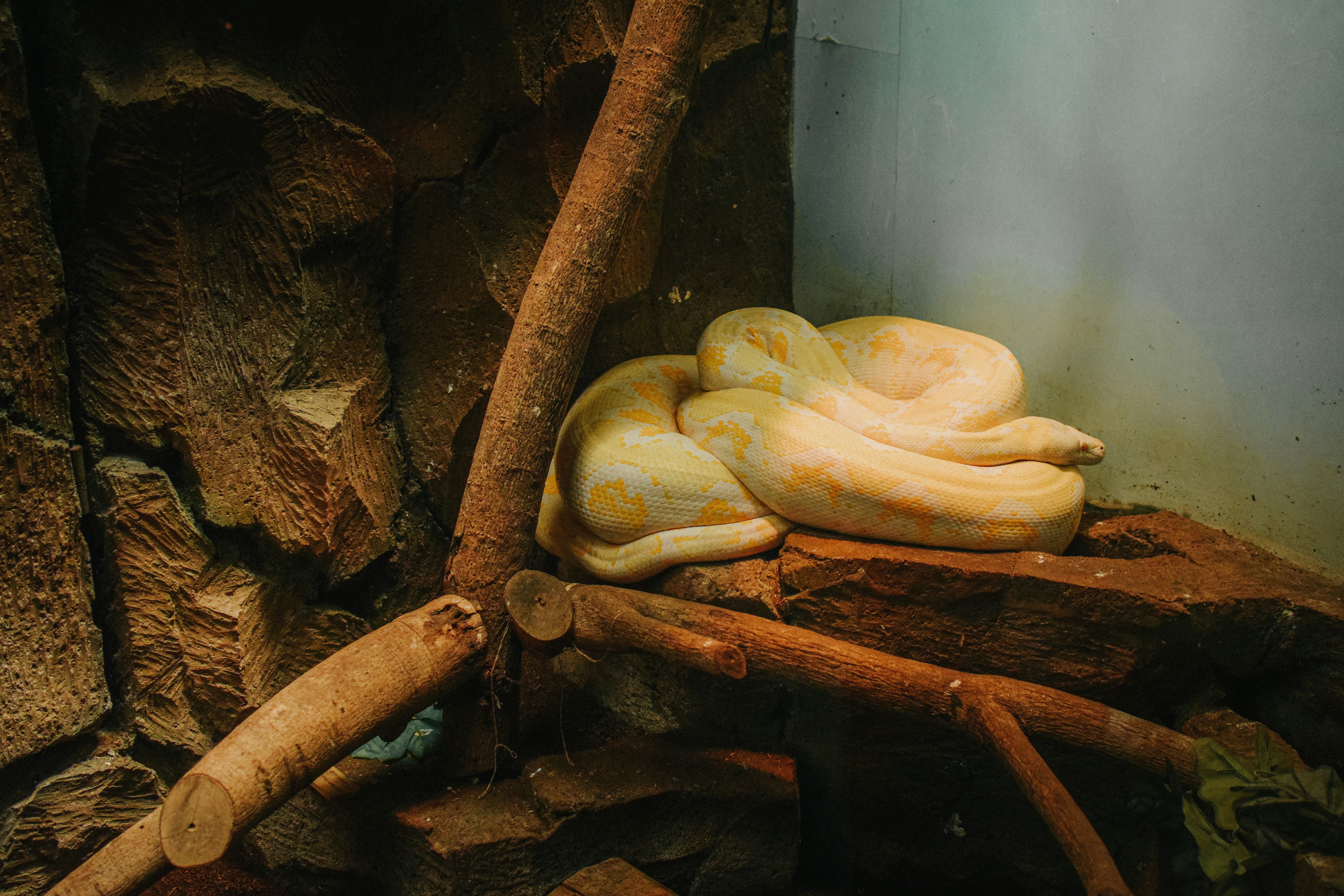 Photo by Ilmi Amali Q.A with Nikon D3300