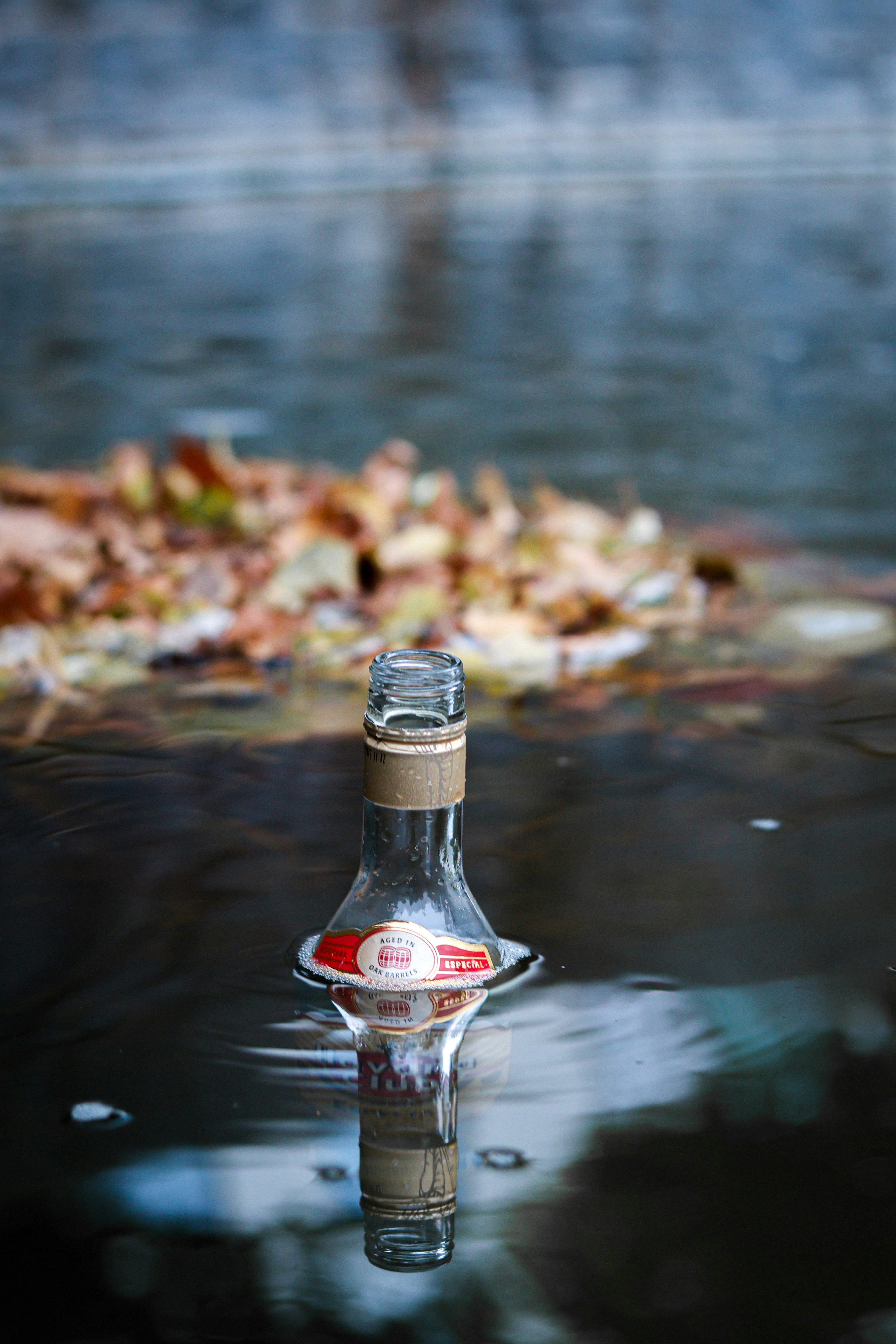 Bottle Reaching for the Surface: A Quiet Moment on Liquid Glass