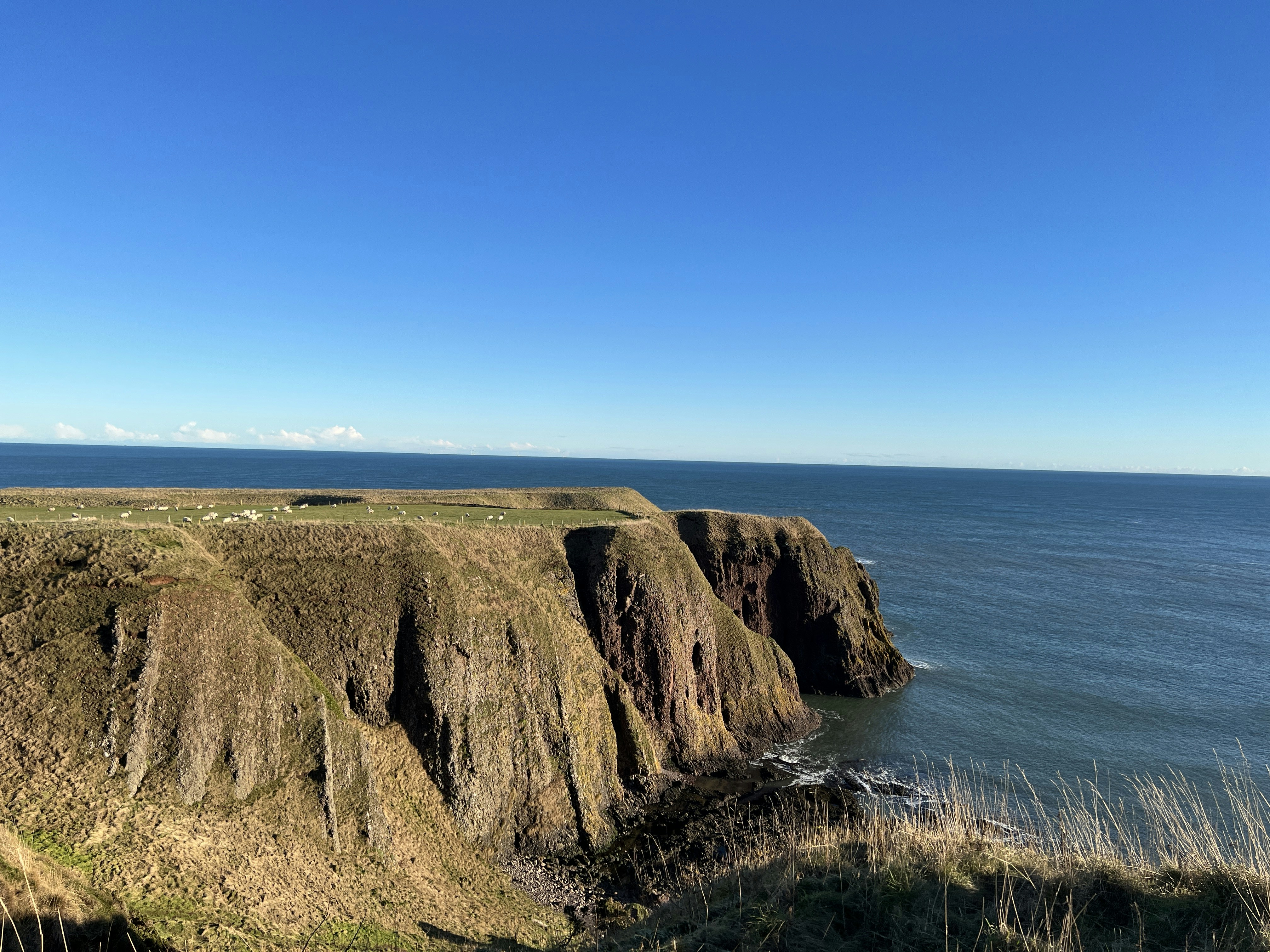 Edge of the Quiet Blue: Cliffside Coast Under a Clear Sky