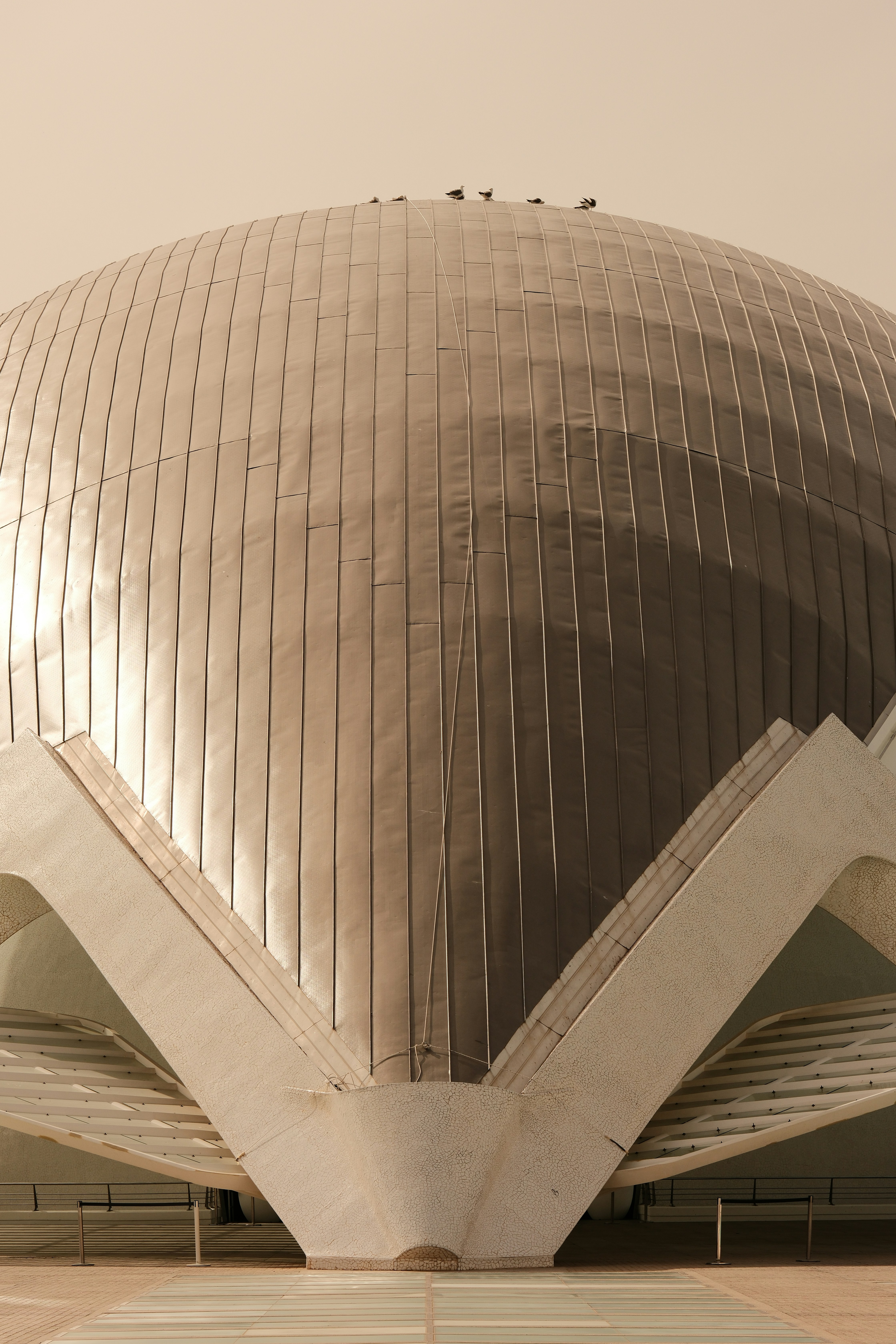 Sepia Dome: Vertical Ribs Rising Over a Concrete V-Base