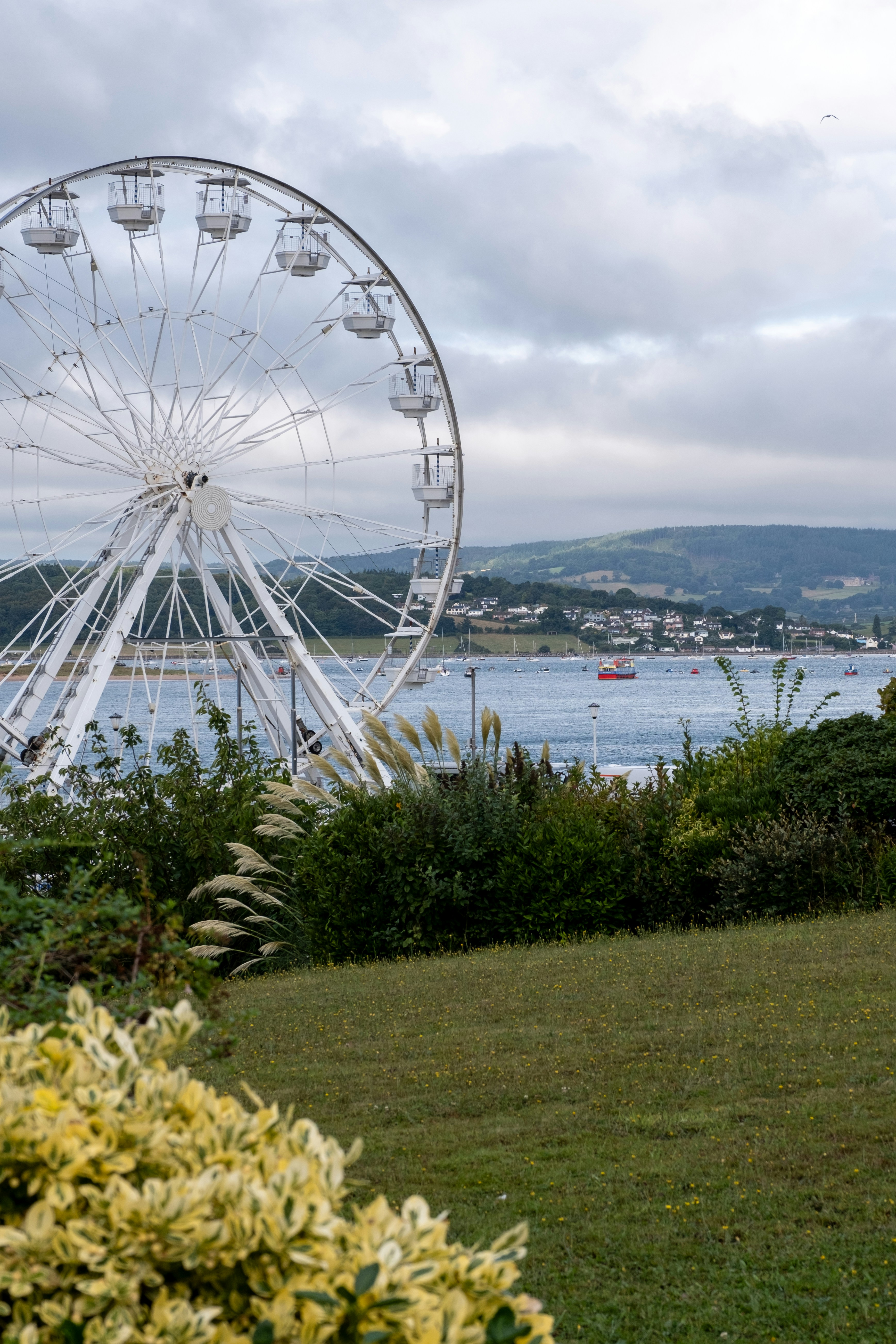 Whispers of the Waterfront: A Ferris Wheel's Embrace