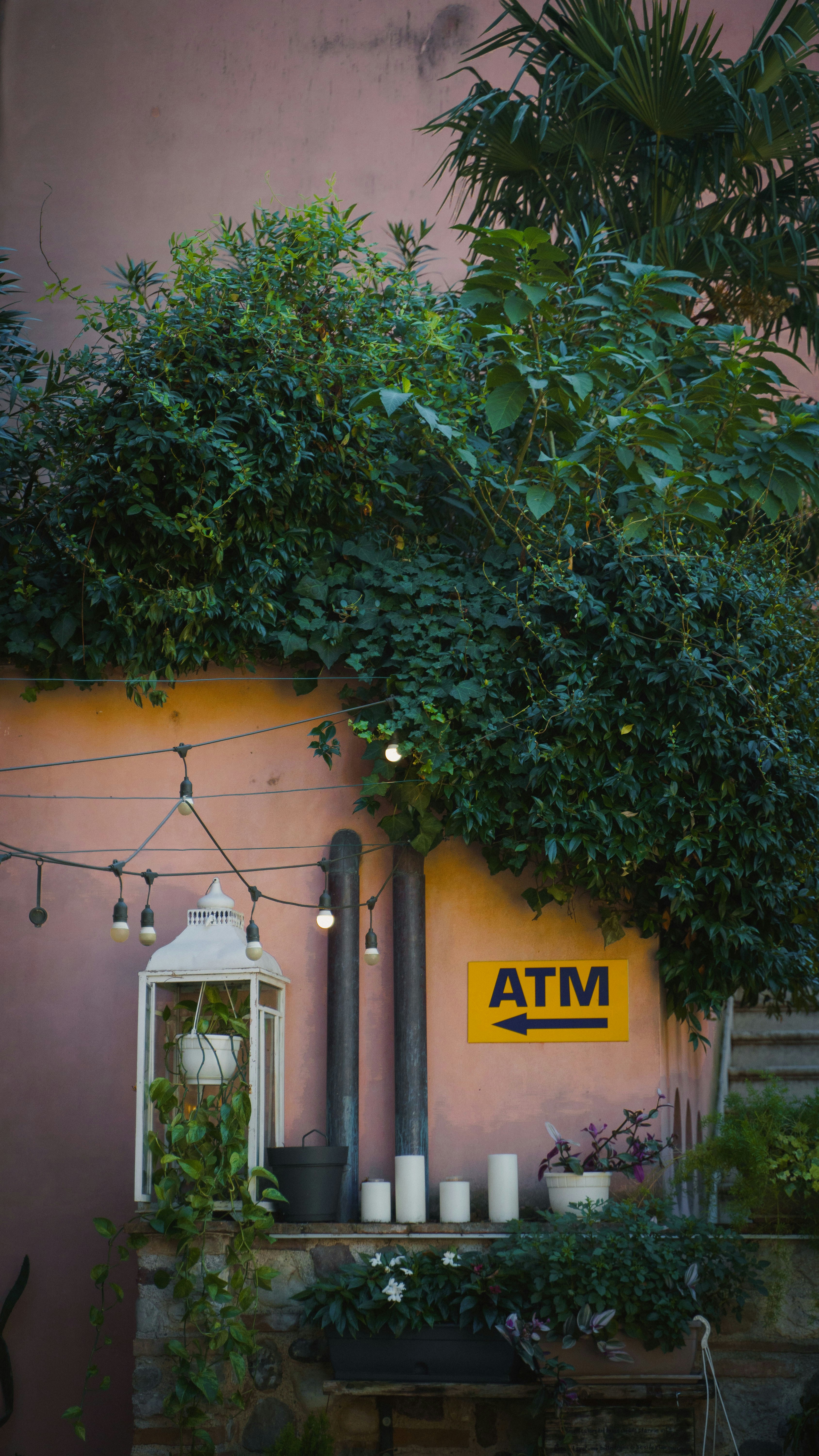 Amber ATM Sign Nestled in a Verdant Courtyard Under String Lights