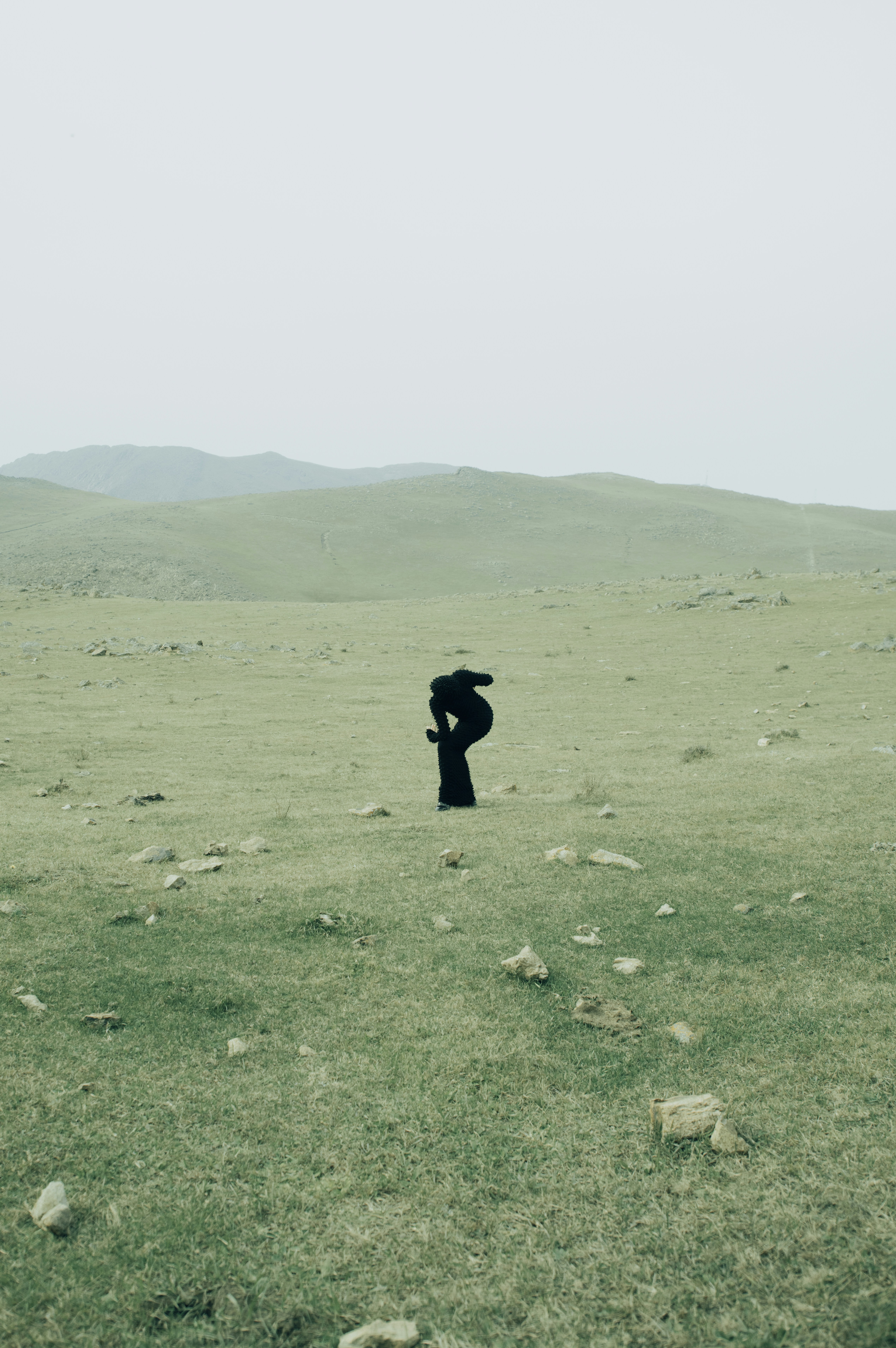 Sample photo from Sigma fp L